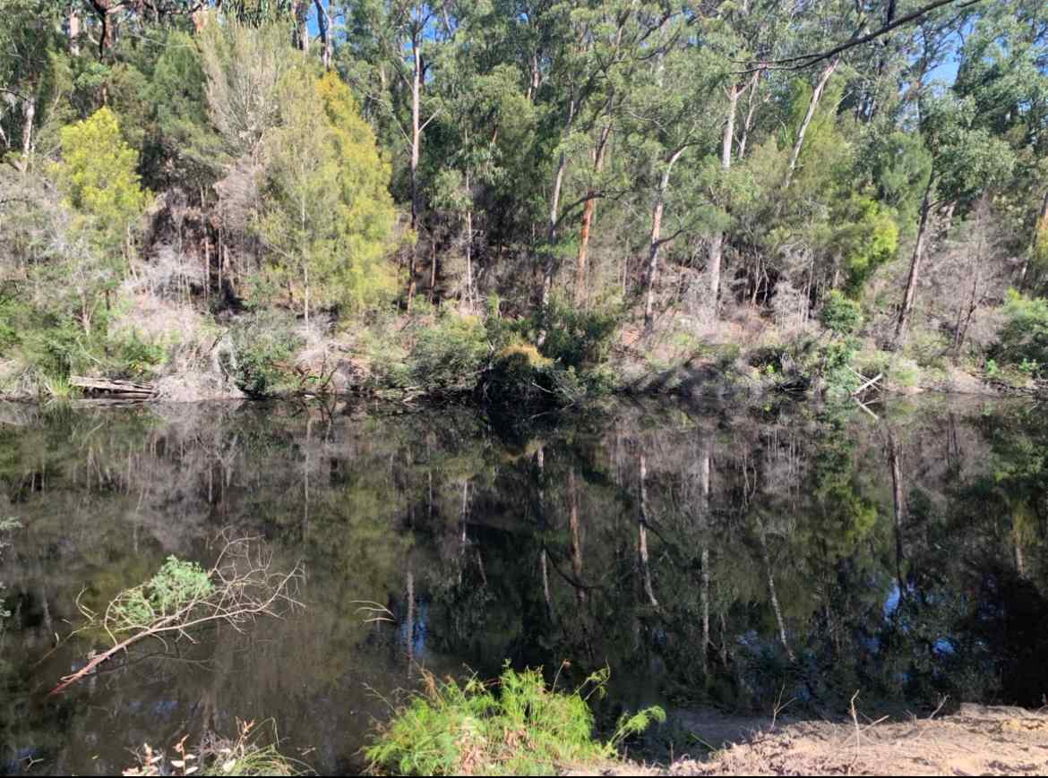 Thurra Bush Camping - Hipcamp in Tamboon, Victoria