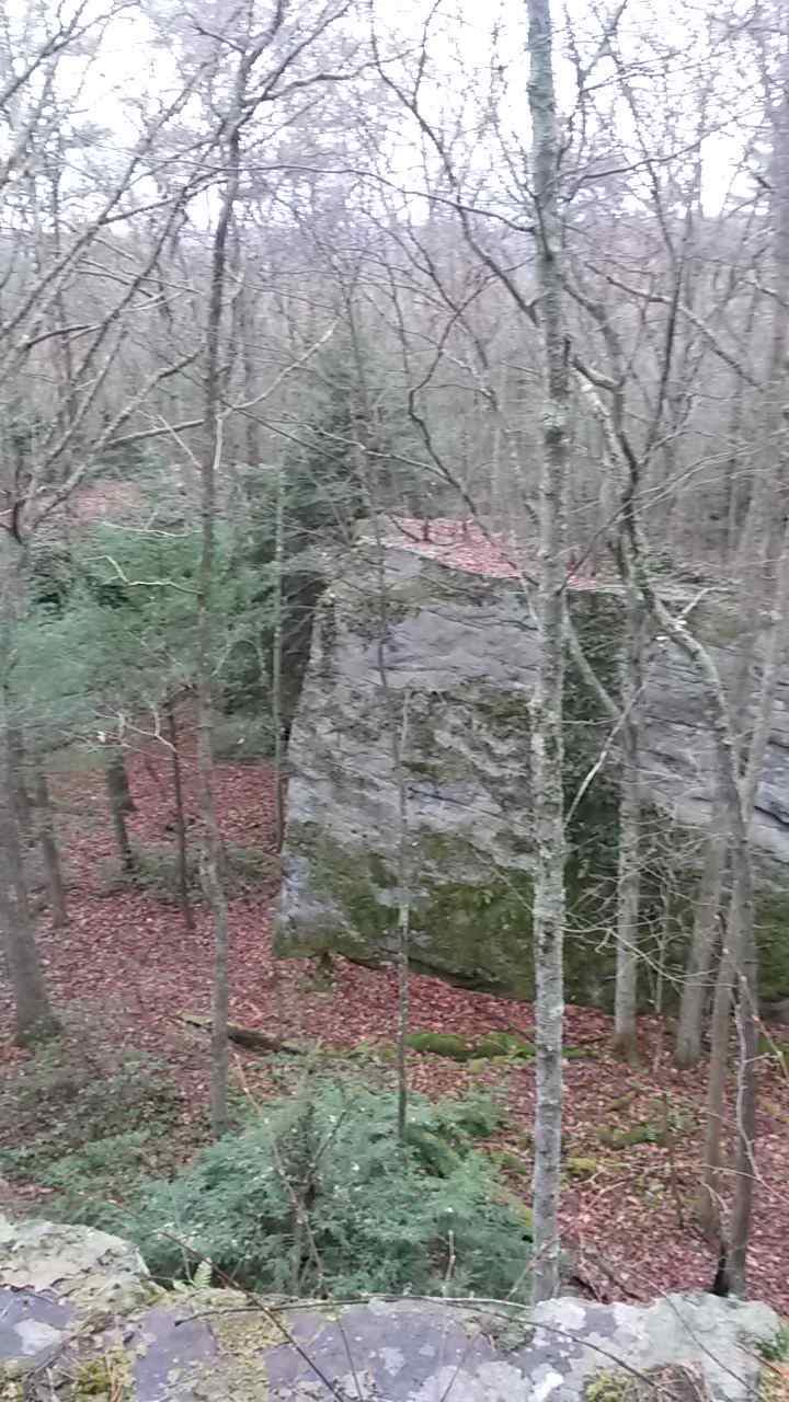 Rustic Cabin - Hipcamp in Limestone Township, Pennsylvania