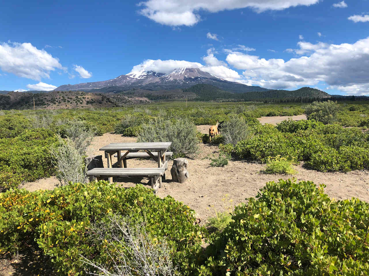Juniper Spur Ranch - Hipcamp in Weed, California