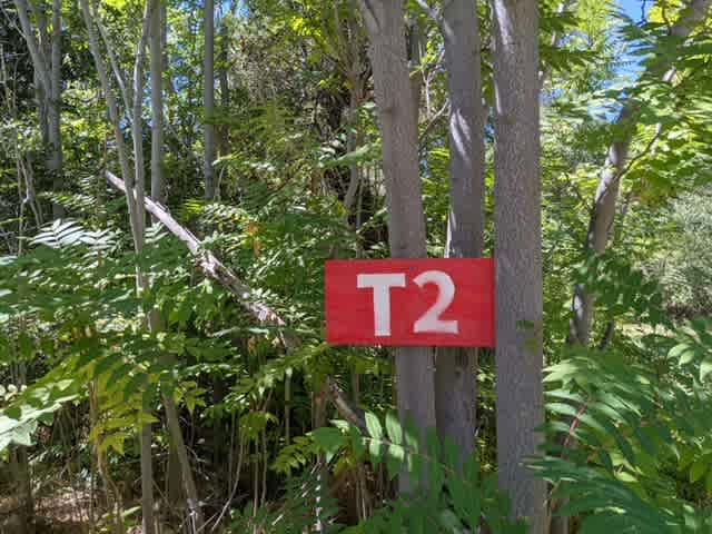 Banner Ranch Julian - Hipcamp in Julian, California