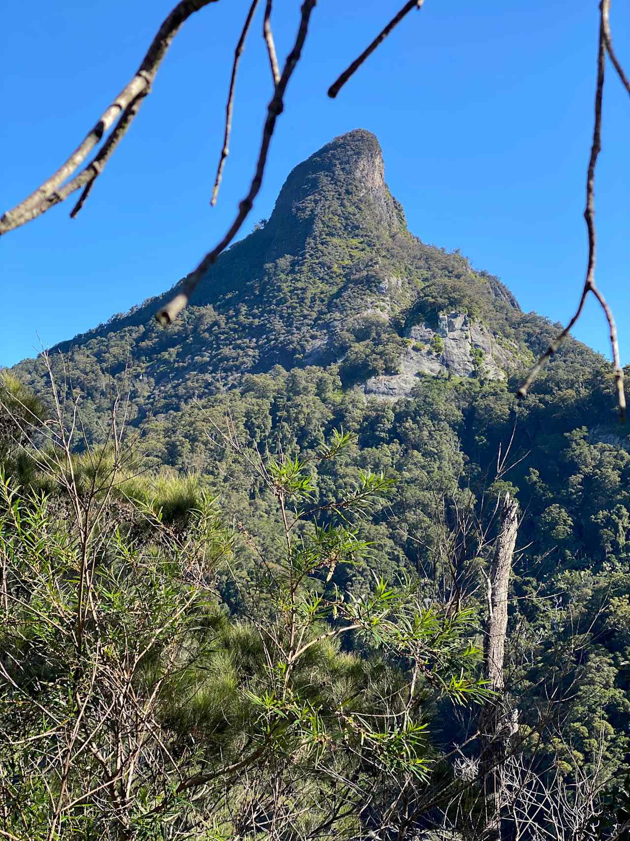 Magic of Mt Warning - Hipcamp in Mount Warning, New South Wales