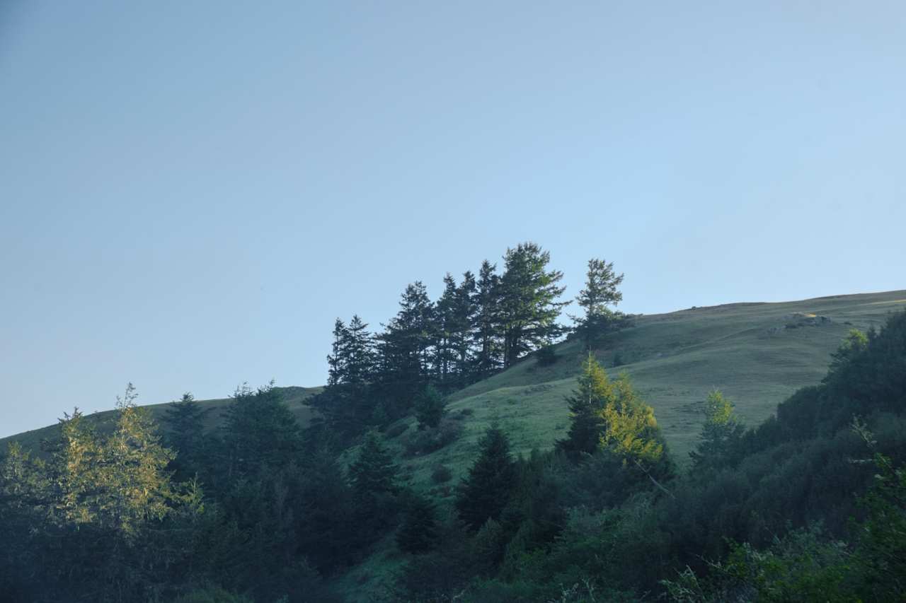 Finley Camp - Hipcamp in Bodega Bay, California