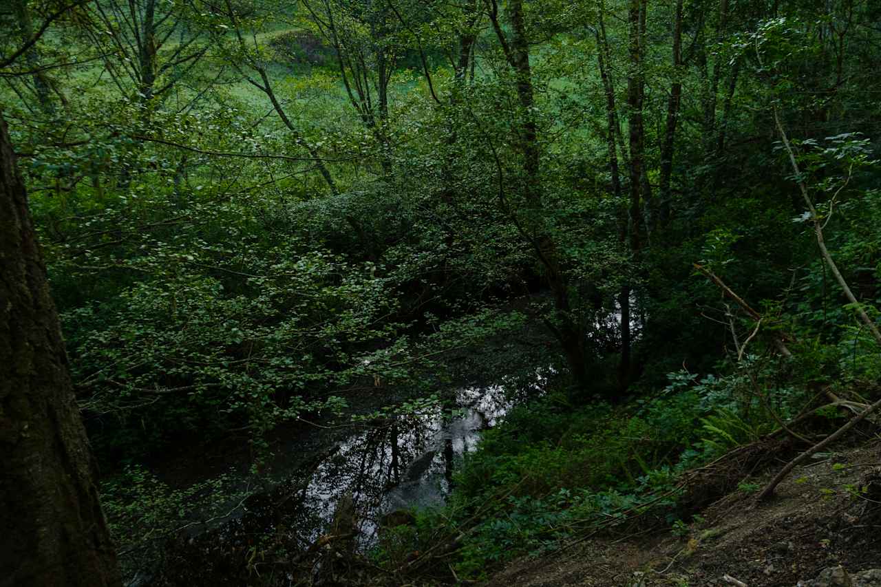 Finley Camp - Hipcamp in Bodega Bay, California