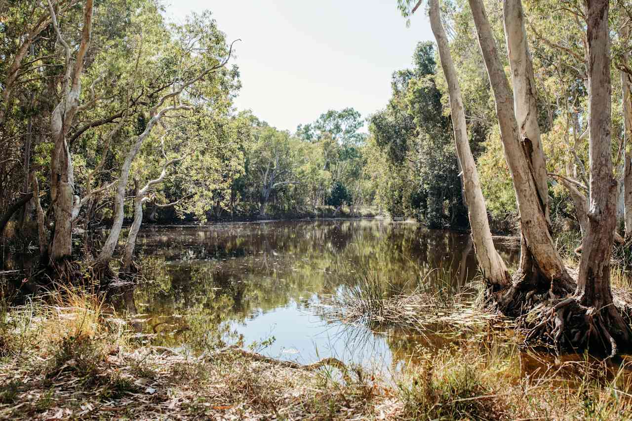 Ups n Downs, Bushland with Lagoon - Hipcamp in Mackay, Queensland