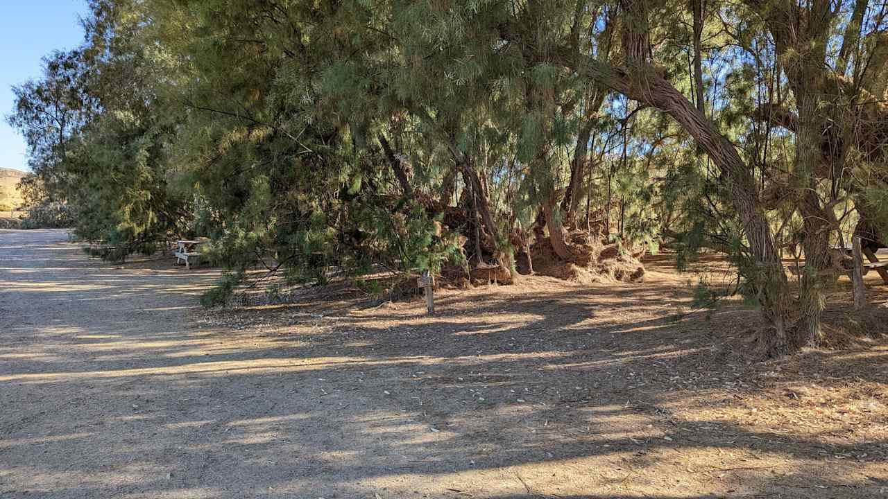 Mercey Hot Springs Resort - Hipcamp in Firebaugh, California