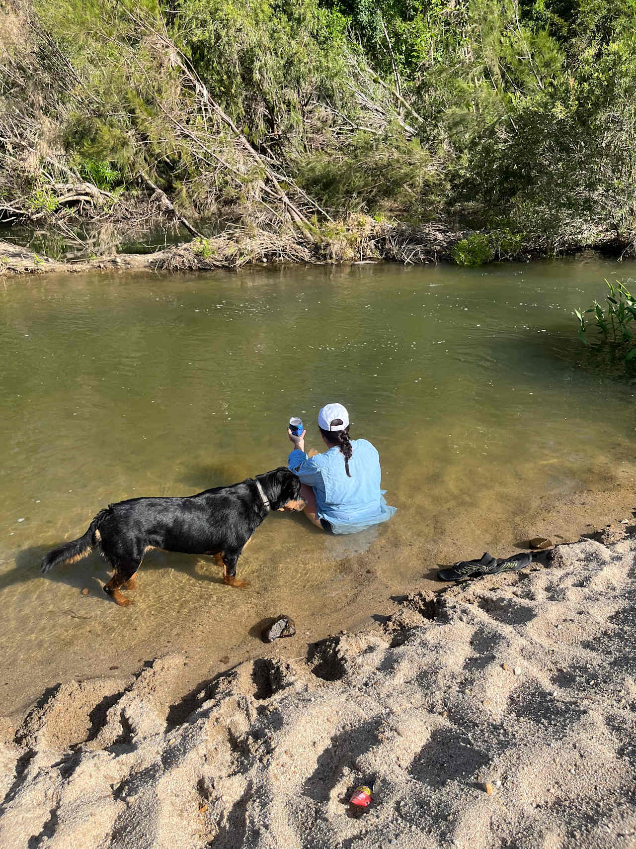 Discover the best dog-friendly campgrounds in Australia