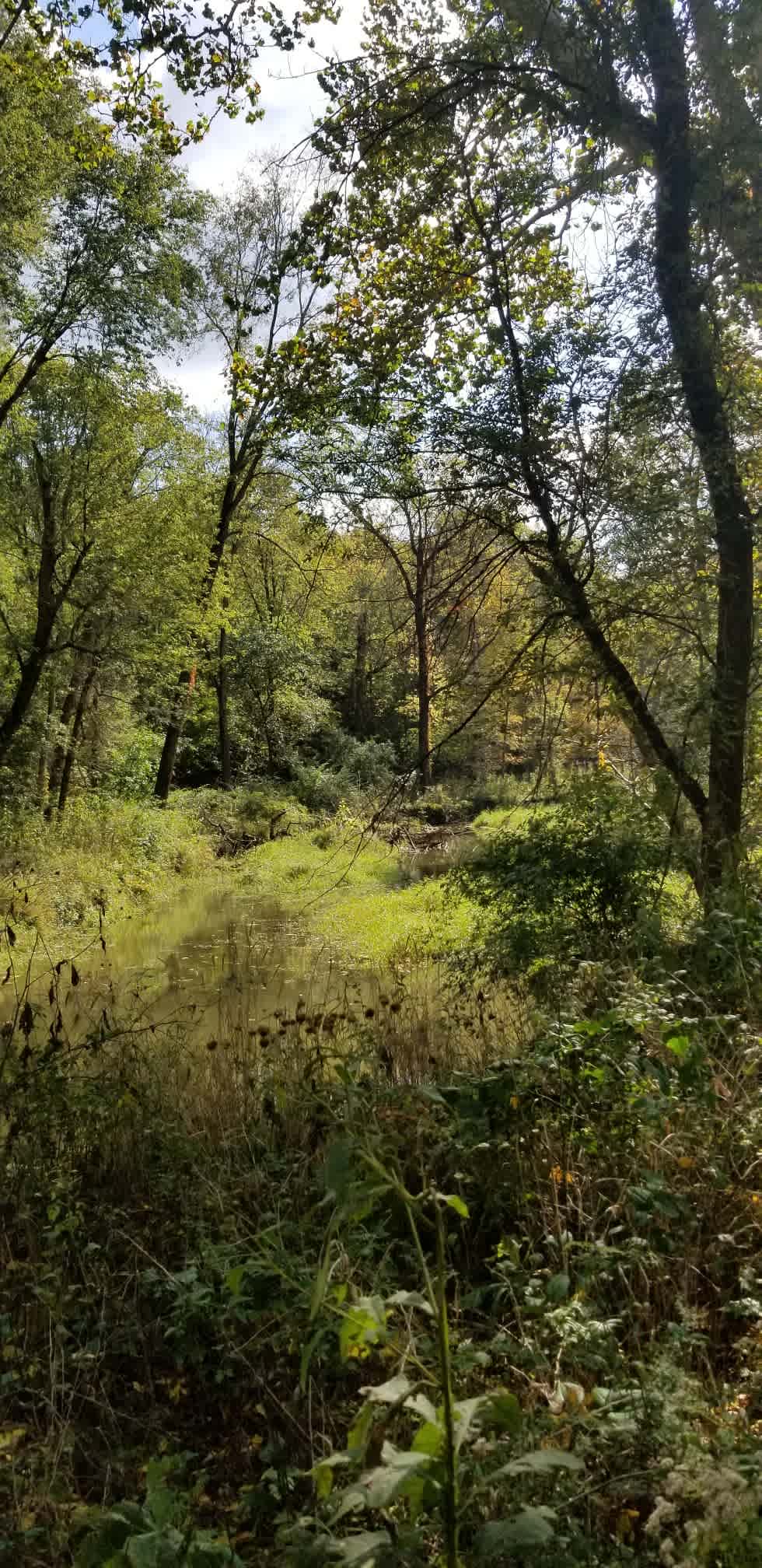 Bear Bottom Ranch - Hipcamp in Yorkville, Illinois