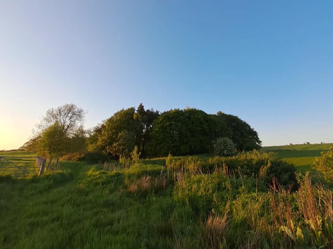 Cleghorn Farm - Hipcamp in Lanark, Scotland