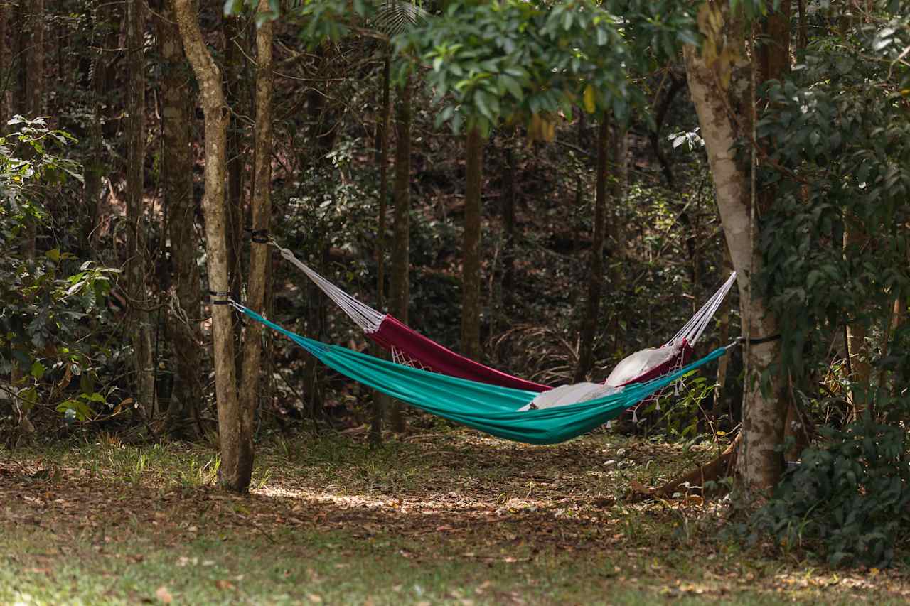 Woombye Rainforest Escape - Hipcamp in West Woombye, Queensland