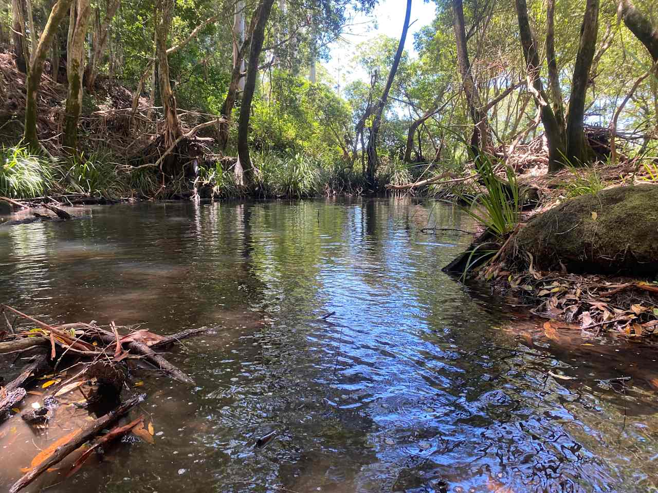 Mal and Sarah’s Farm - Hipcamp in Bellangry, New South Wales