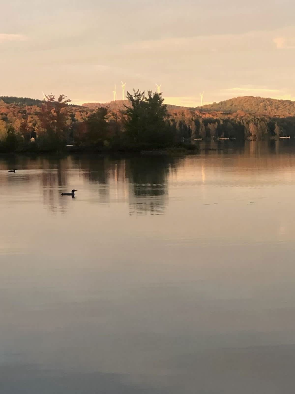 Lakefront Camping & RV - MAINE - Hipcamp in Lee, Maine