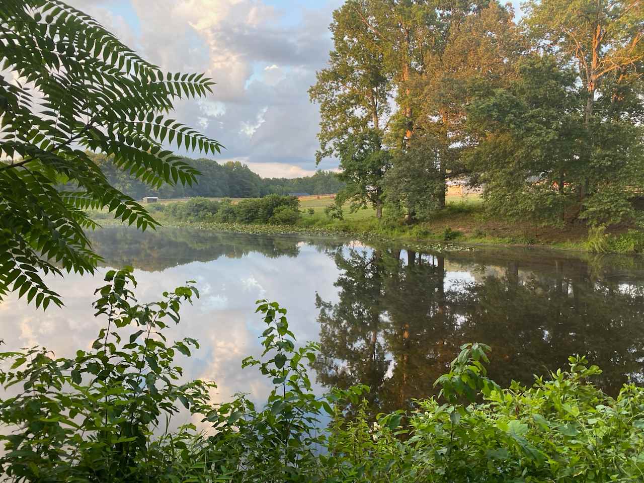 Sunrise by the Pond - Hipcamp in Beaverdam, Virginia