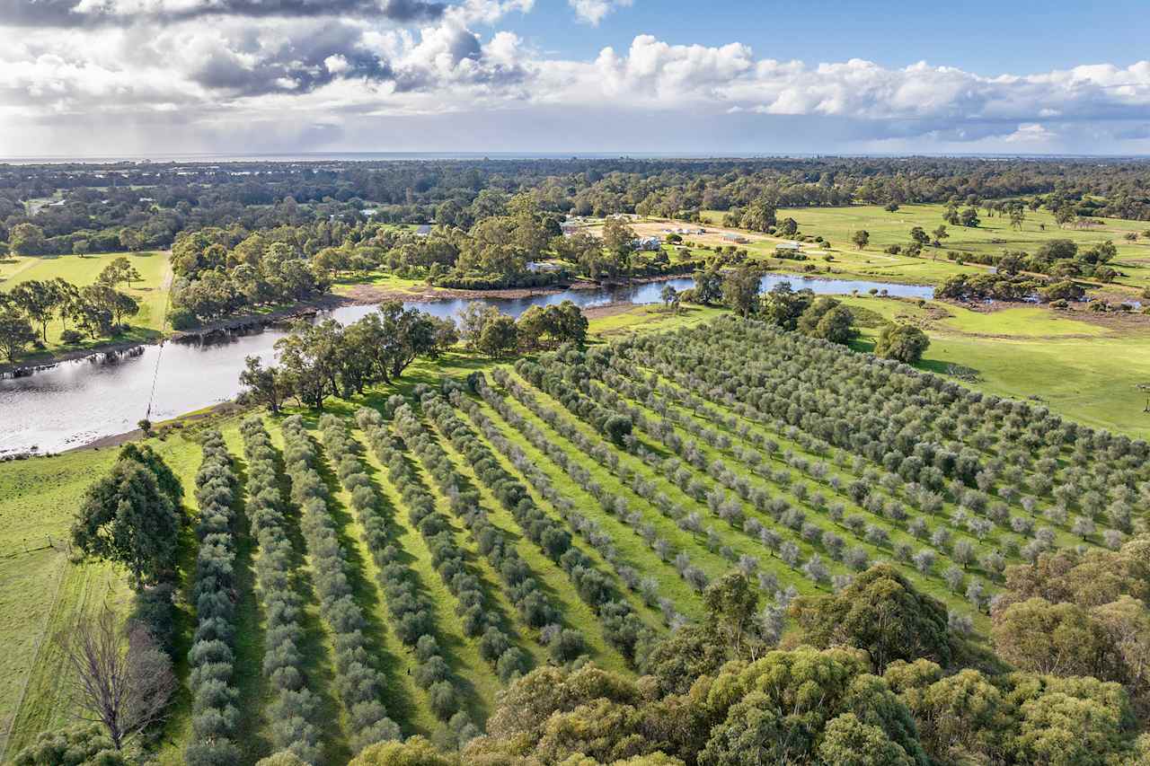 Coastal Farm Stay - Hipcamp in Vasse, Western Australia