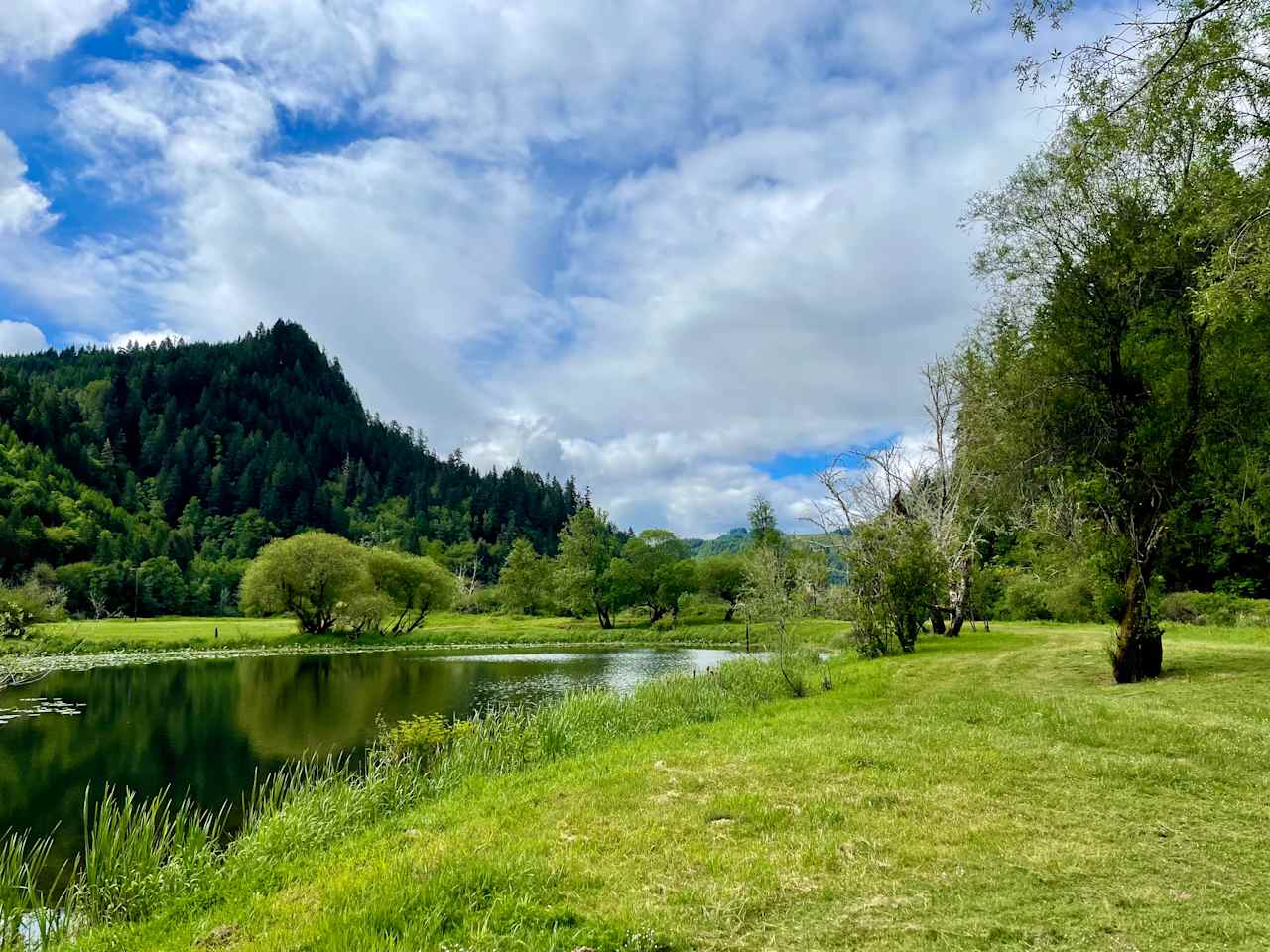 The Park at Loon Lake - Hipcamp in Reedsport, Oregon