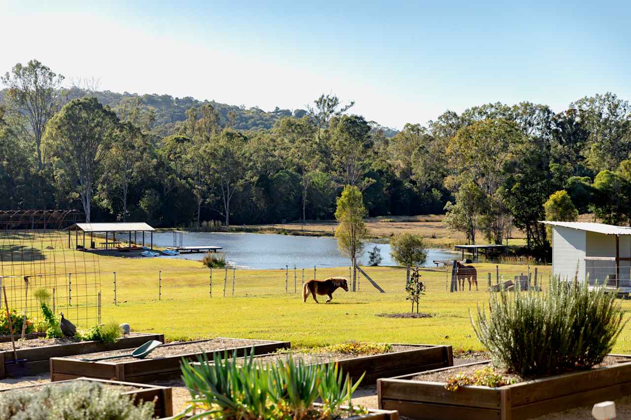 Woollahra Homestead - Farm Stay - Hipcamp in Kybong, Queensland