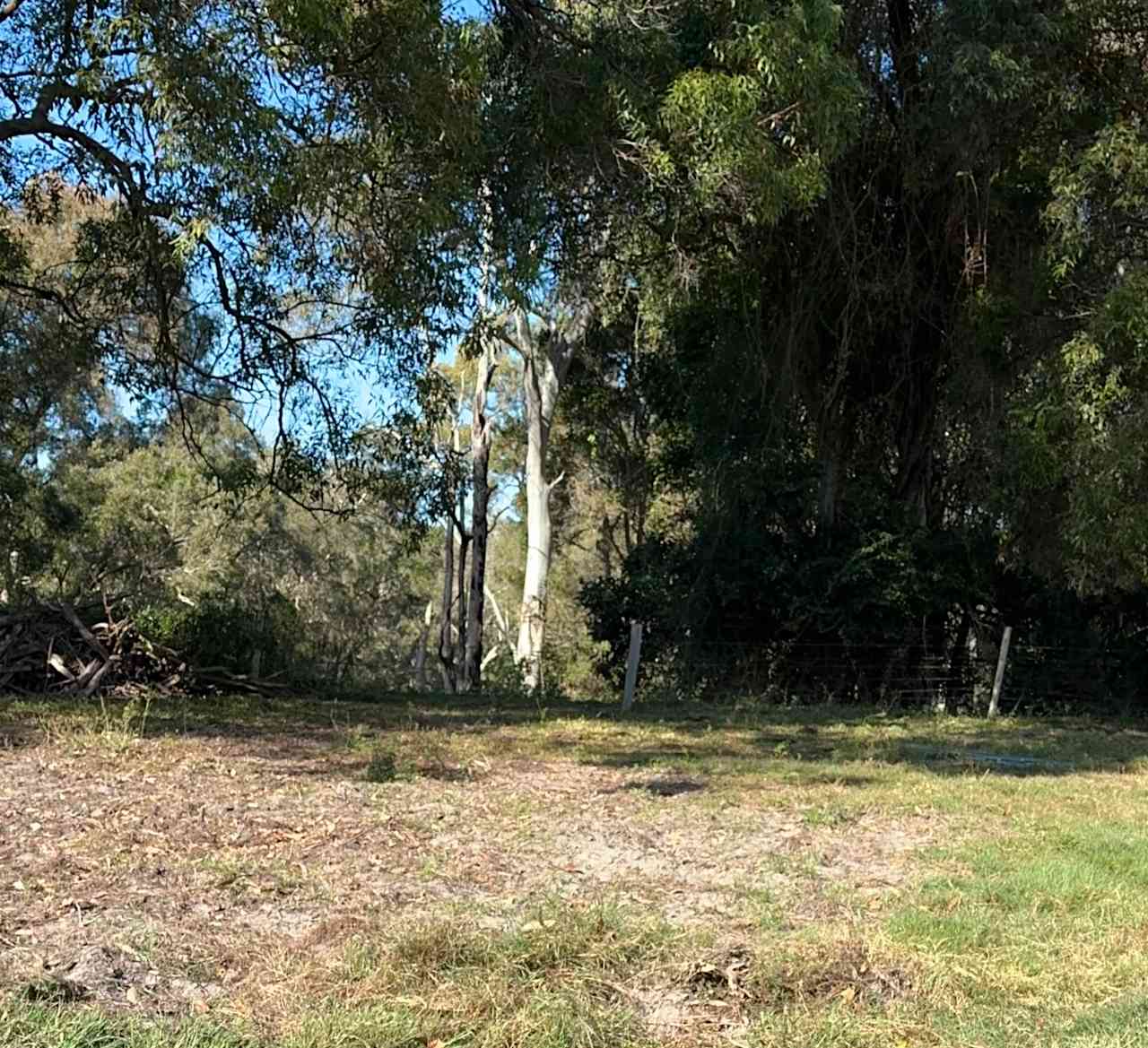 Best Park by the sea. - Hipcamp in Godwin Beach, Queensland