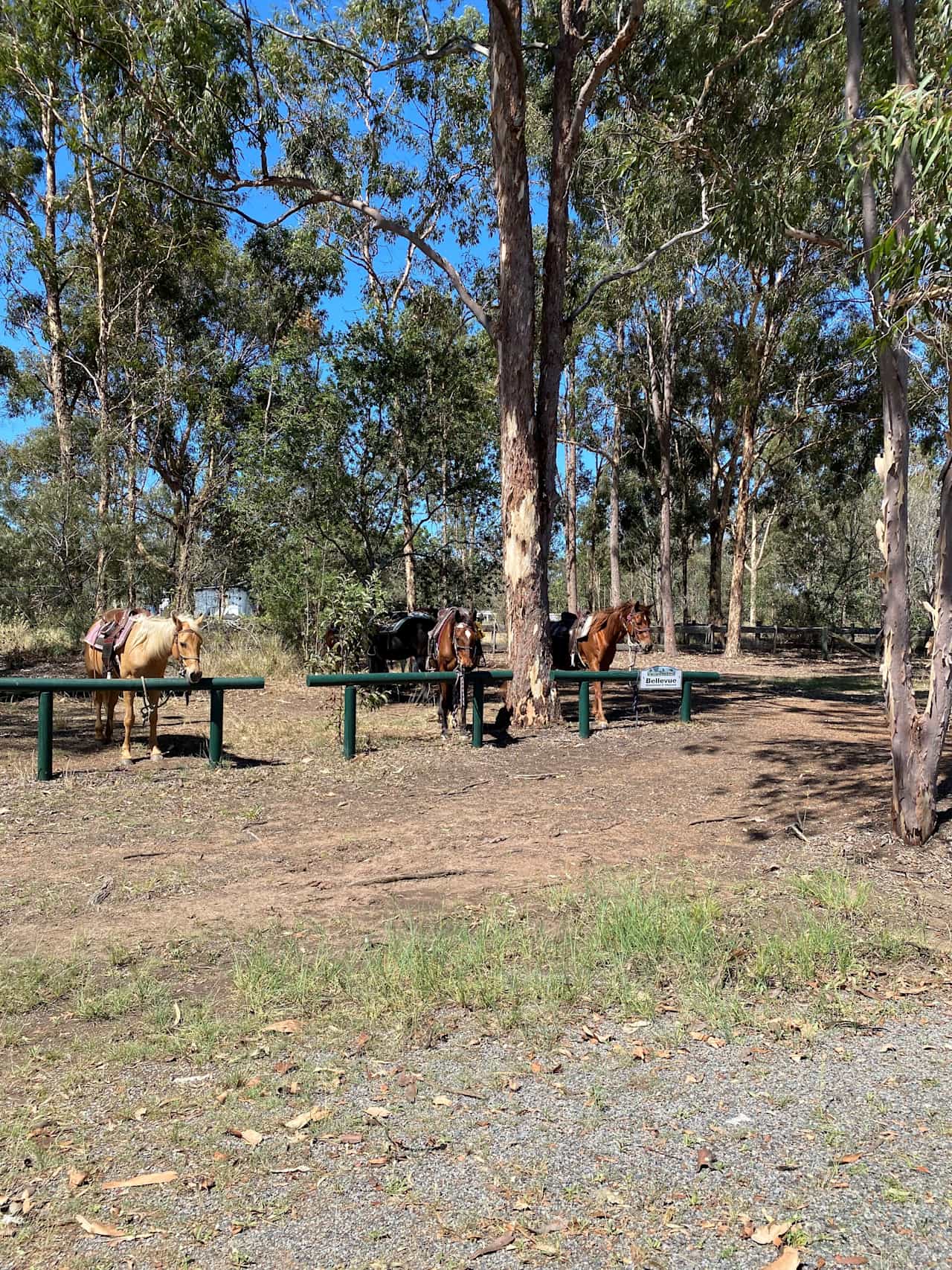 Coominya Farm Stay - Hipcamp in Coominya, Queensland