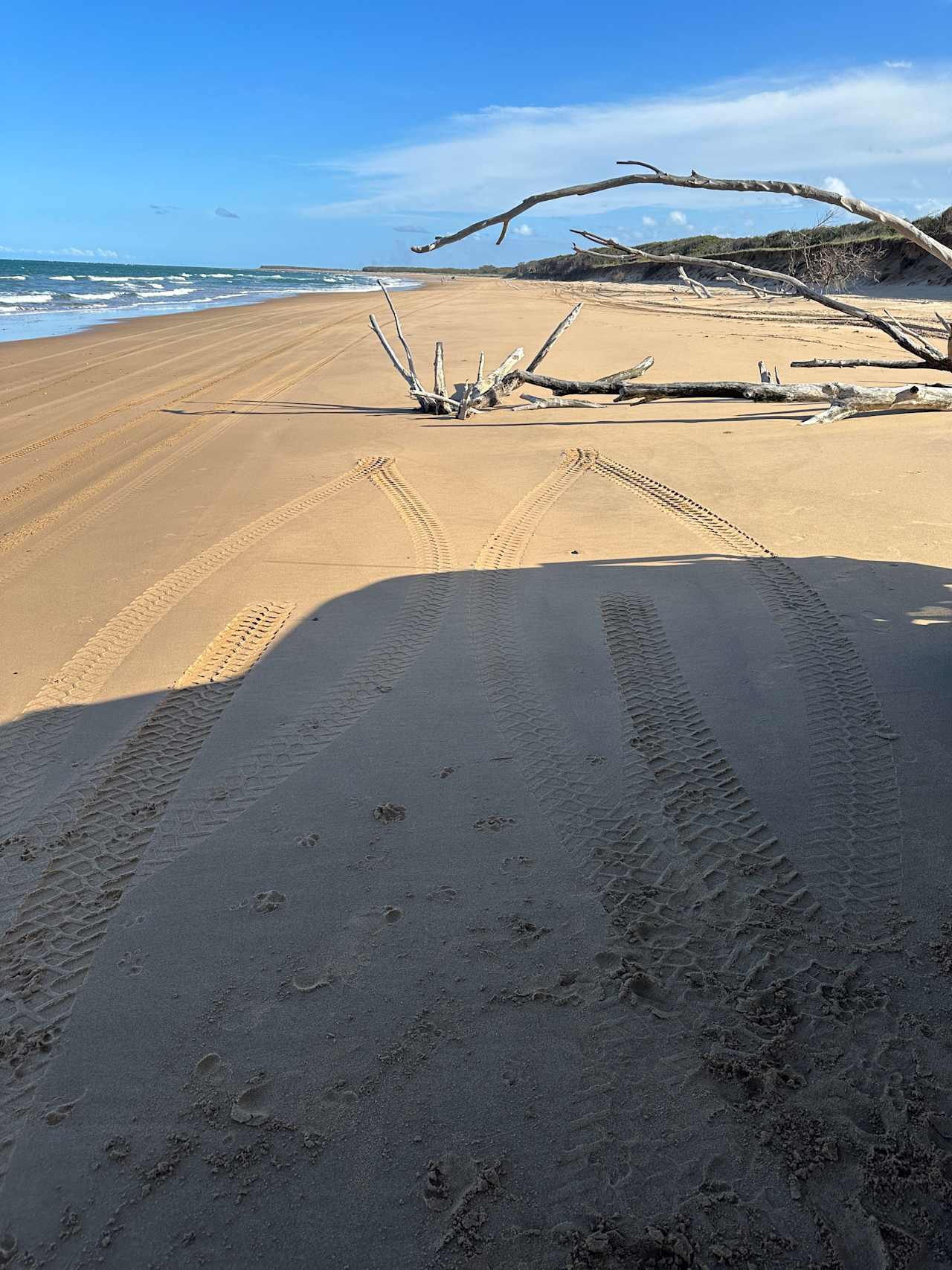 Beach Camping in Queensland: Best Beach Campsites 2025 | Hipcamp