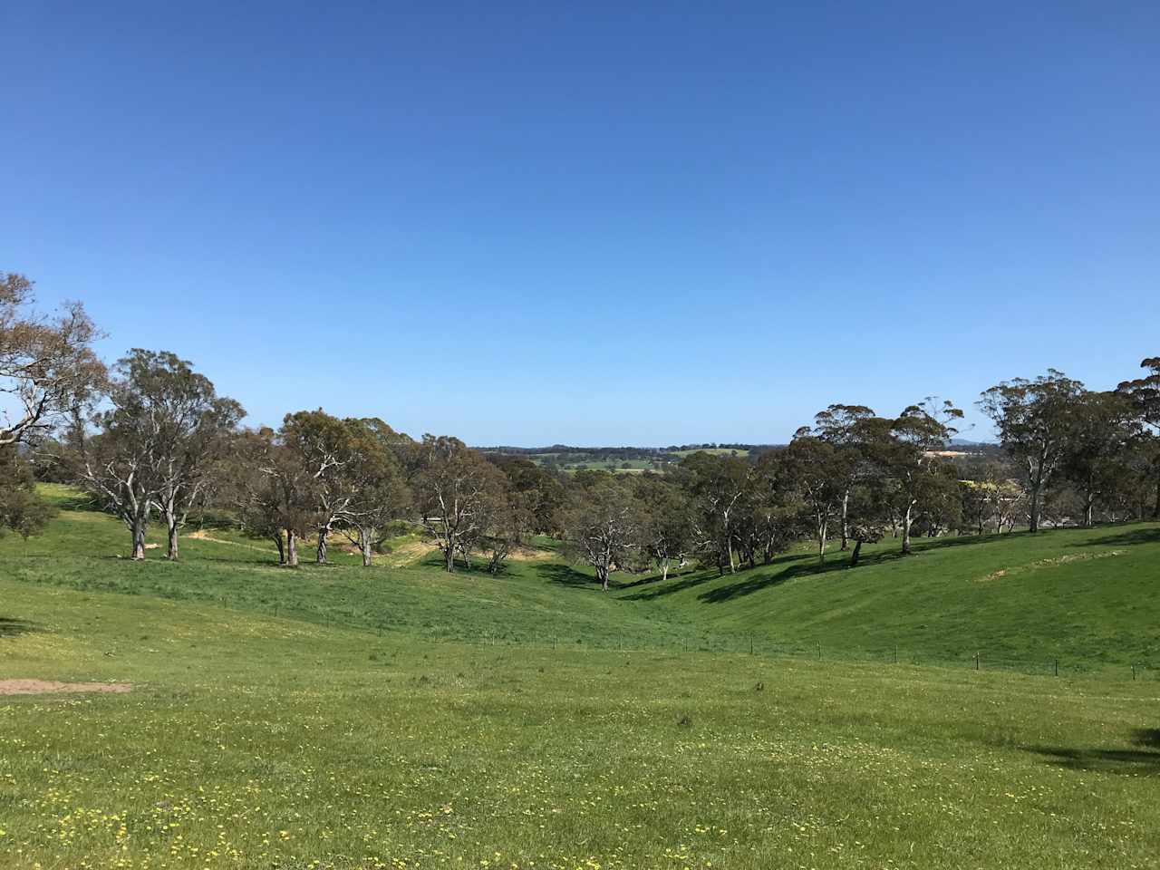 Hay Valley Farm - Hipcamp in Hay Valley, South Australia