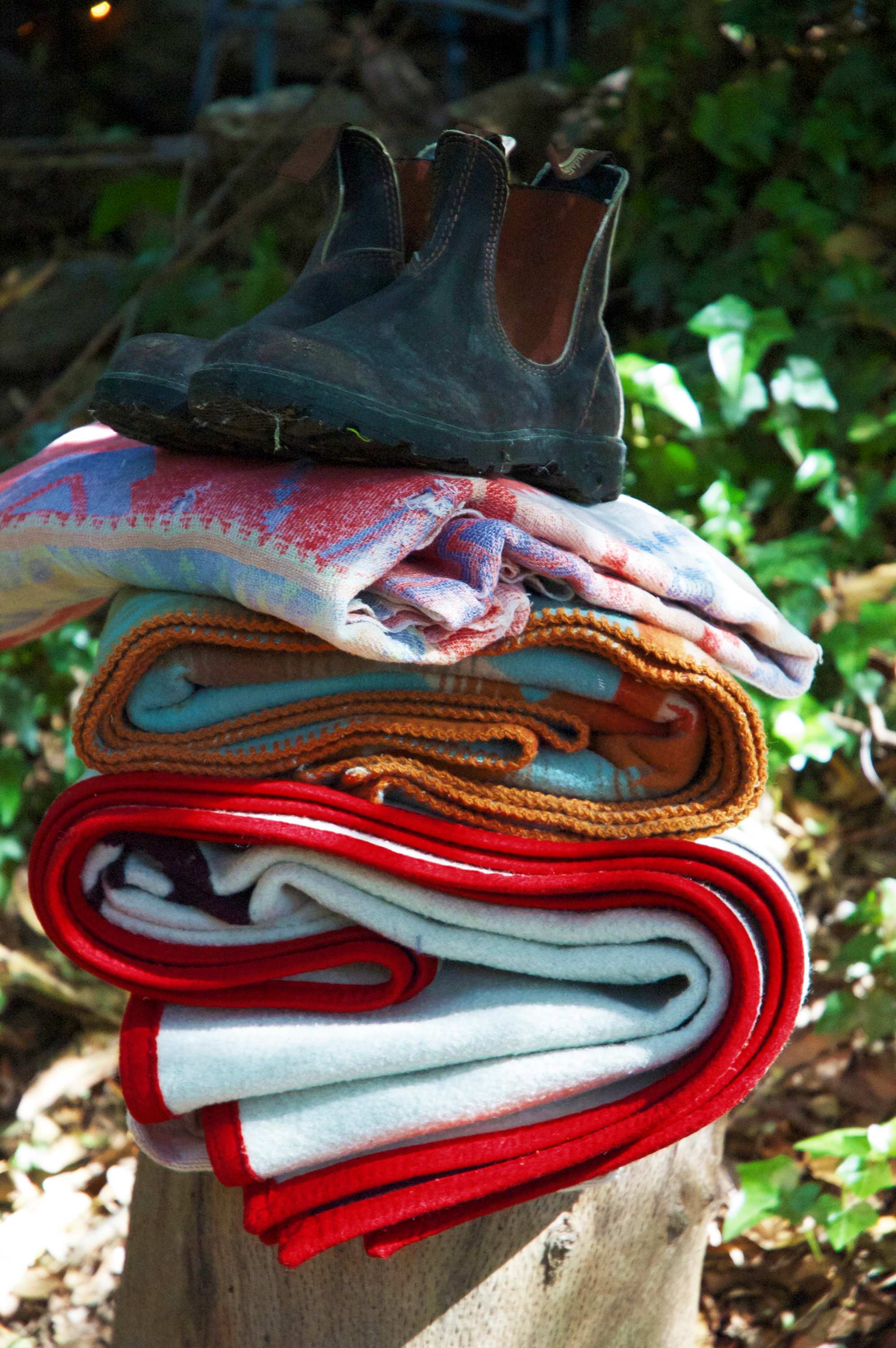 Magical Dome Tree House - Hipcamp in Topanga, California