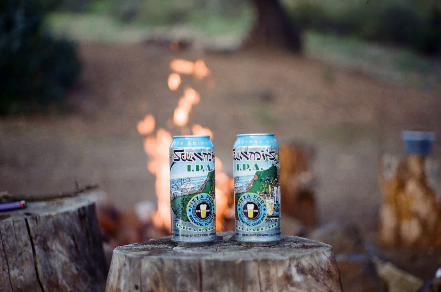 Enchanting Blueberry Farm - Hipcamp in Fallbrook, California