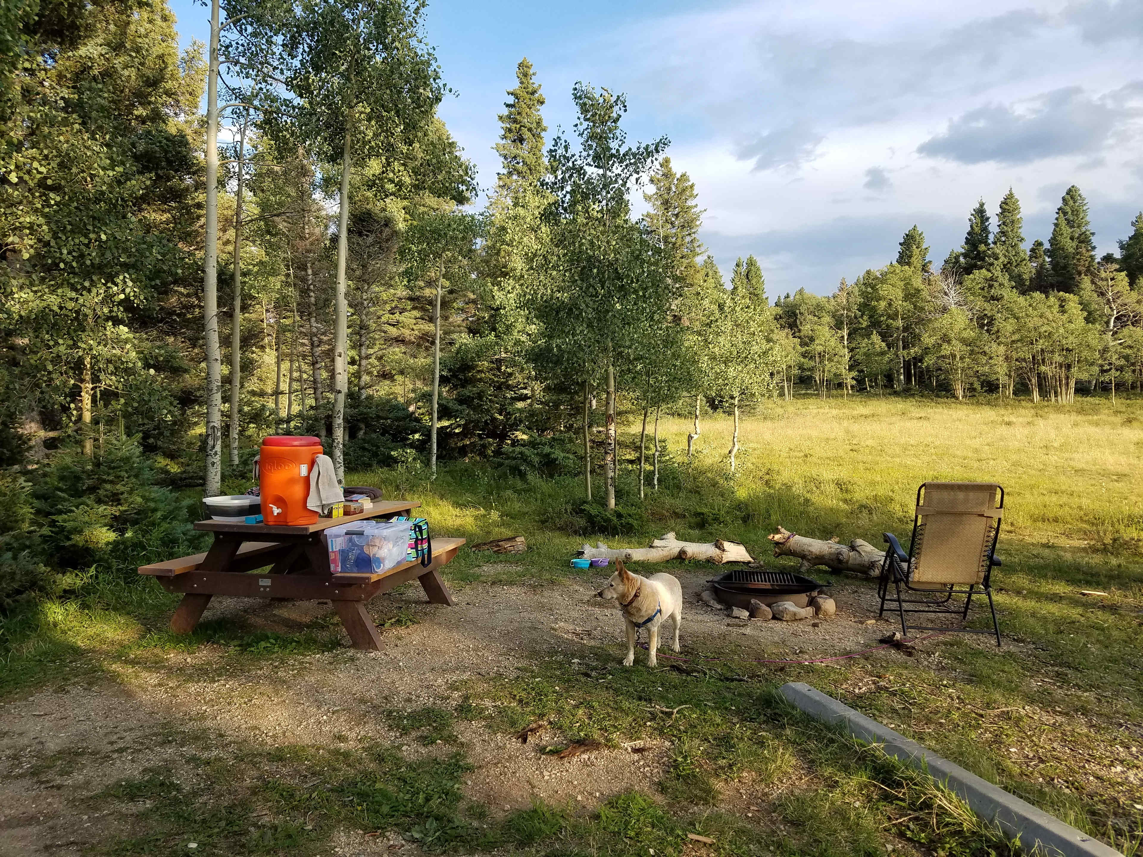Hopewell Lake Campground in Carson National Forest, New Mexico: Reviews ...