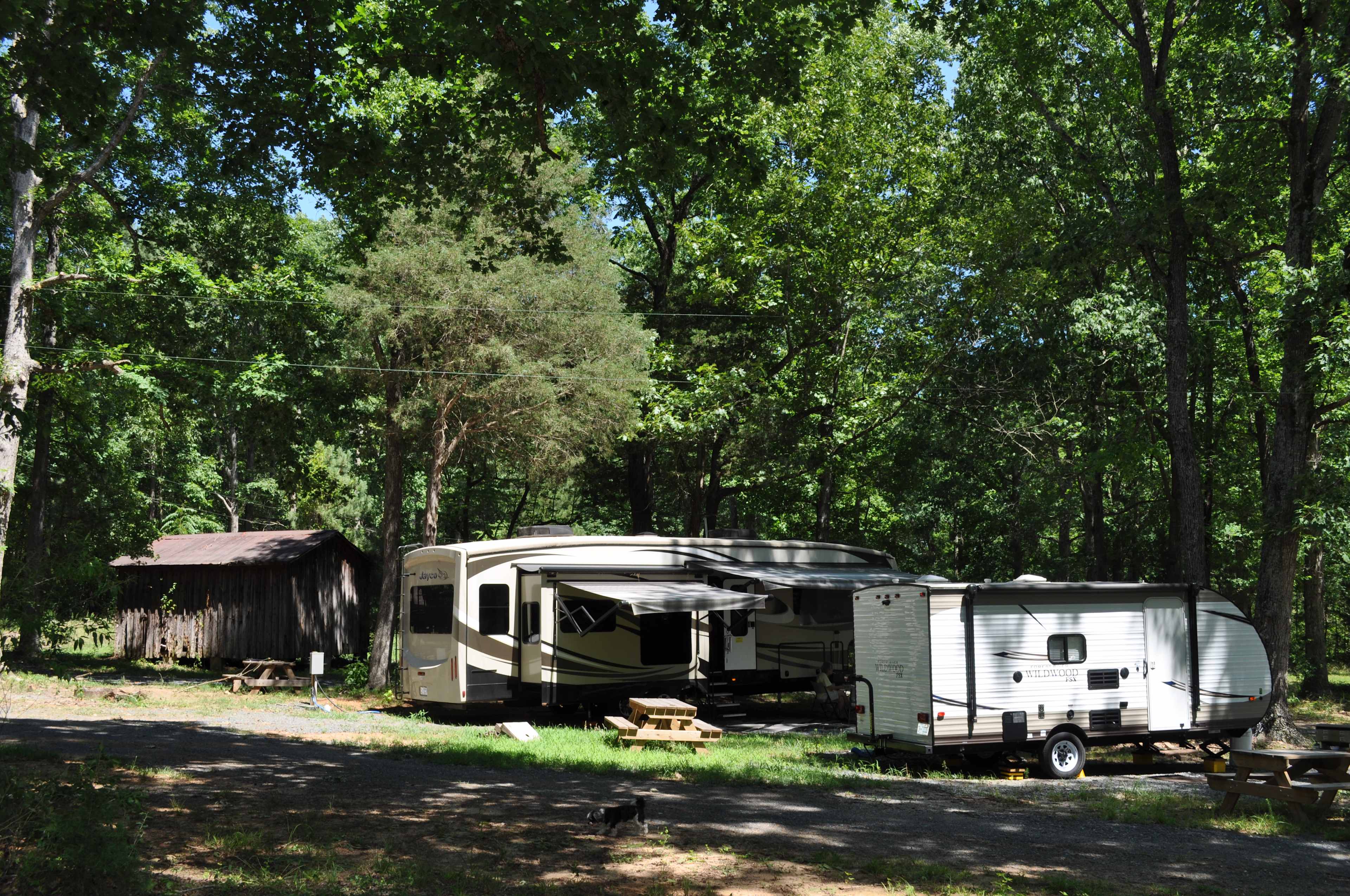 Camp Henning at Ellerbe Springs - Hipcamp in Ellerbe, North Carolina