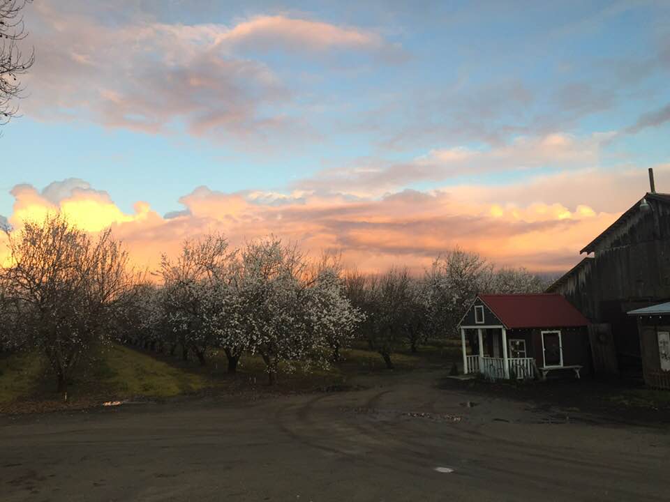 The Barn at White Blossom Ranch - Hipcamp in Oakdale, California