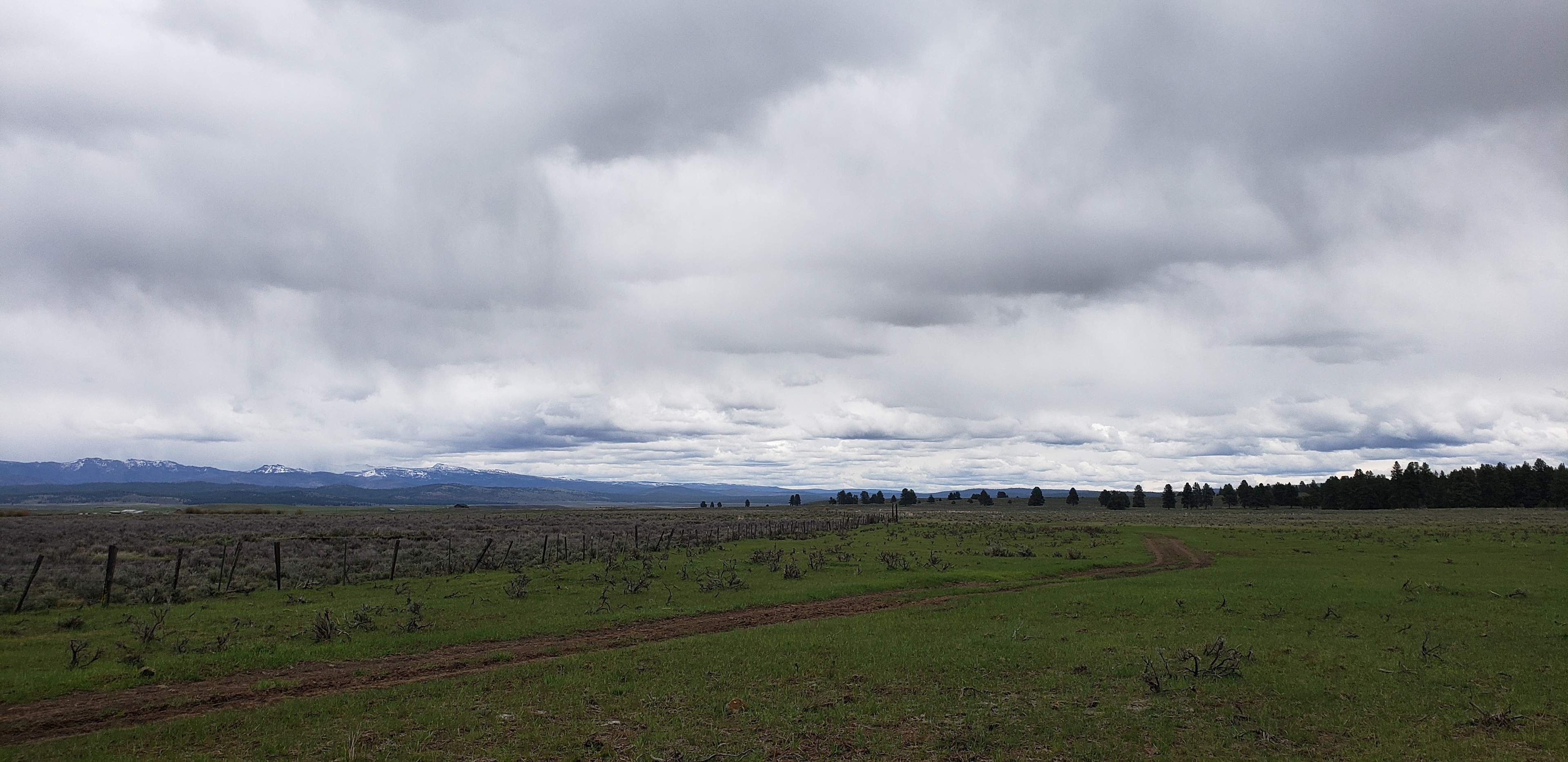 Crown Cattle Company - Hipcamp in Seneca, Oregon