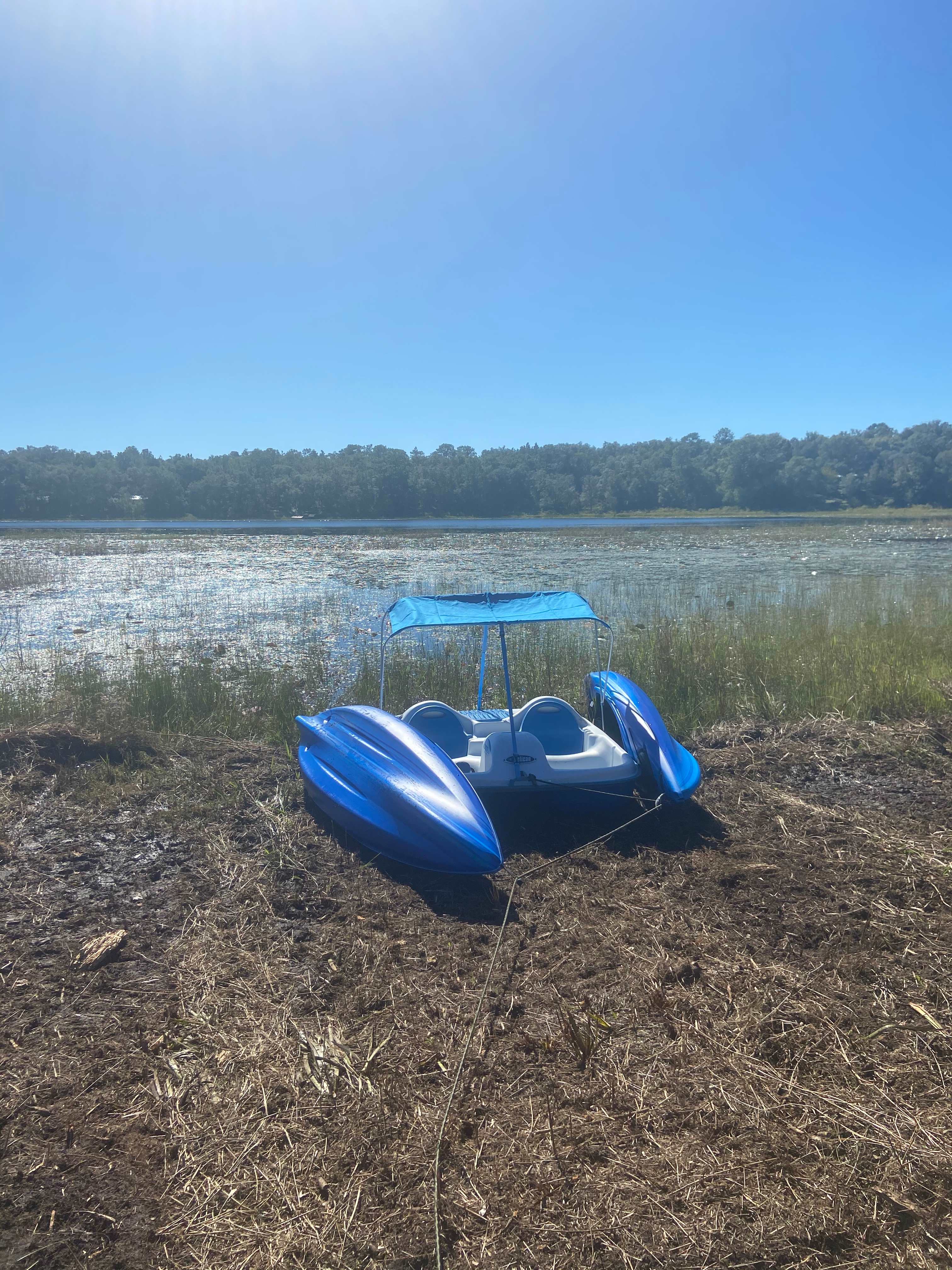 West Lake Forest Camping - Hipcamp in Hawthorne, Florida