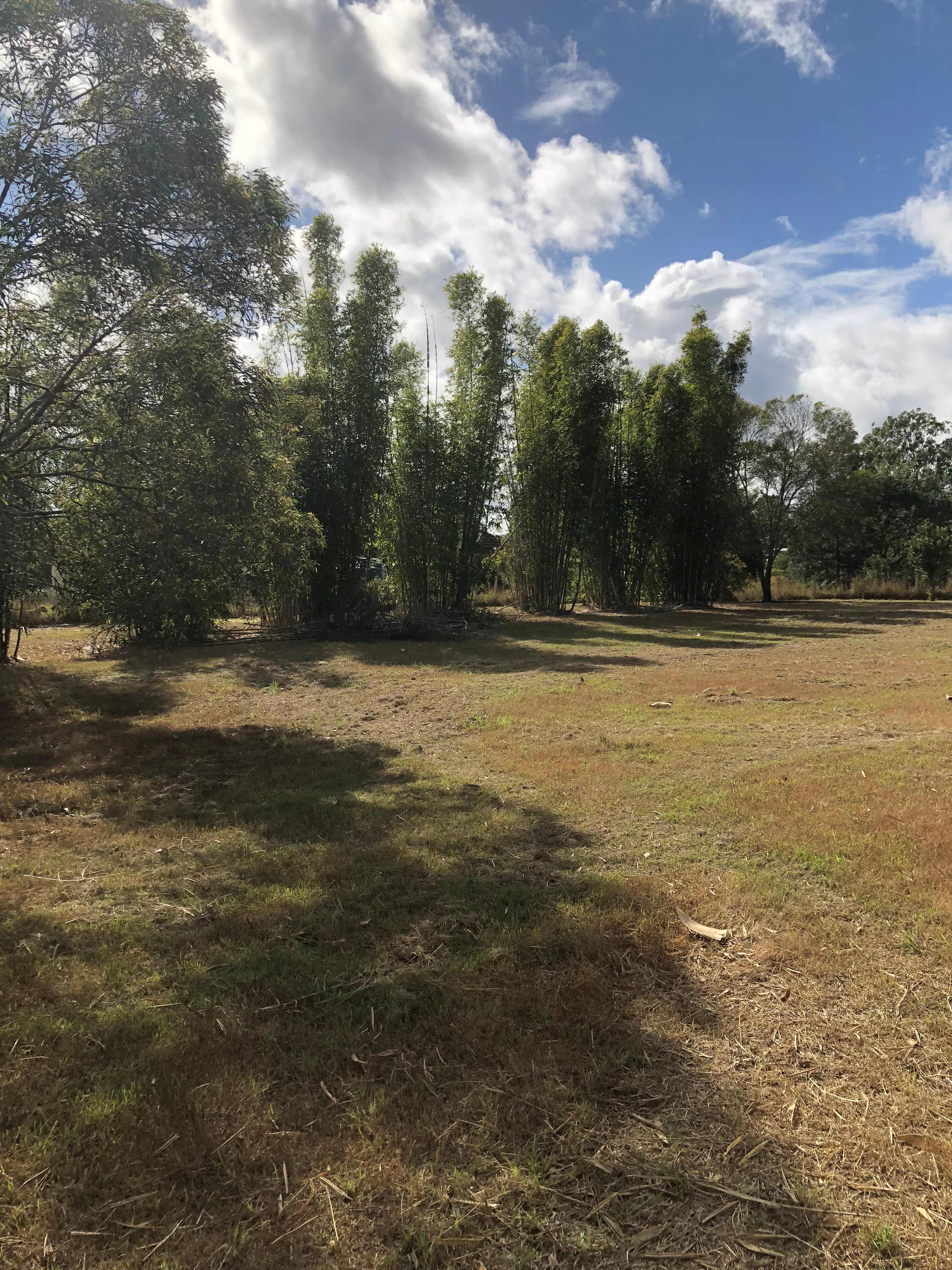 Possum (Curra) Central - Hipcamp in Curra, Queensland