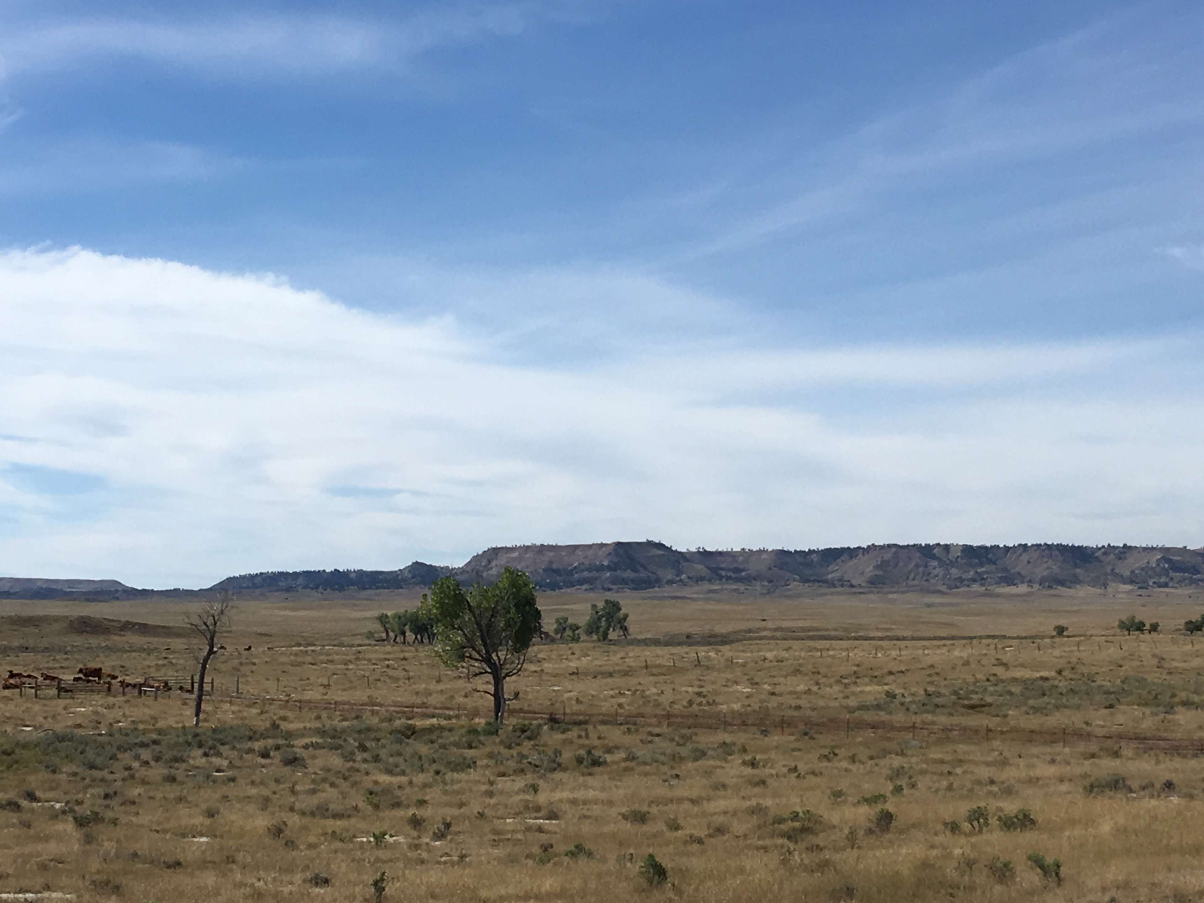 Remote & quiet Wyoming ranch. - Hipcamp in Newcastle, Wyoming