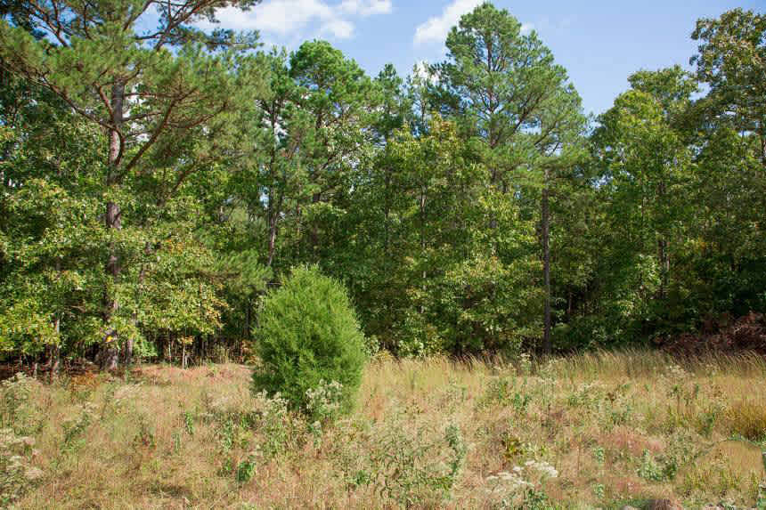 Wagon Wheel Ranch - Hipcamp in Watkins Township, Missouri