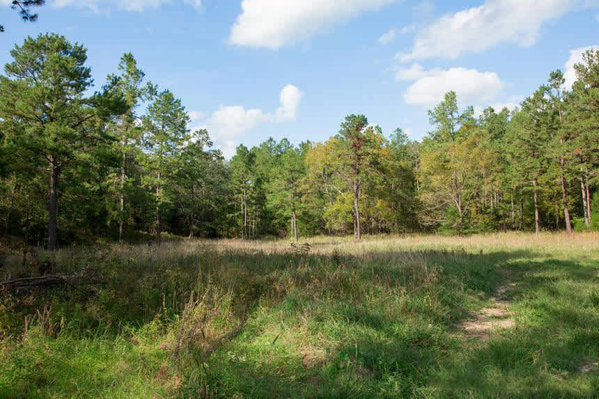 Wagon Wheel Ranch - Hipcamp in Watkins Township, Missouri