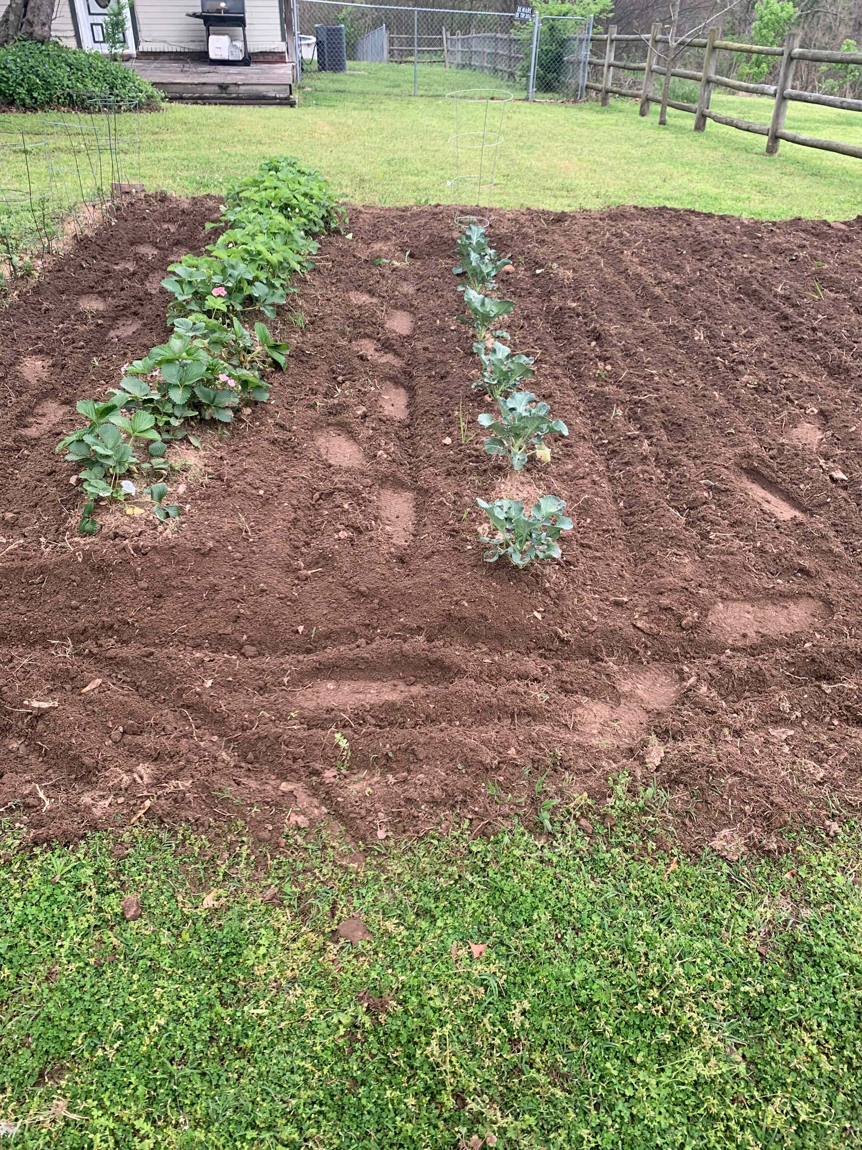 Fox Meadow RV Park - Hipcamp in Siloam Springs, Arkansas