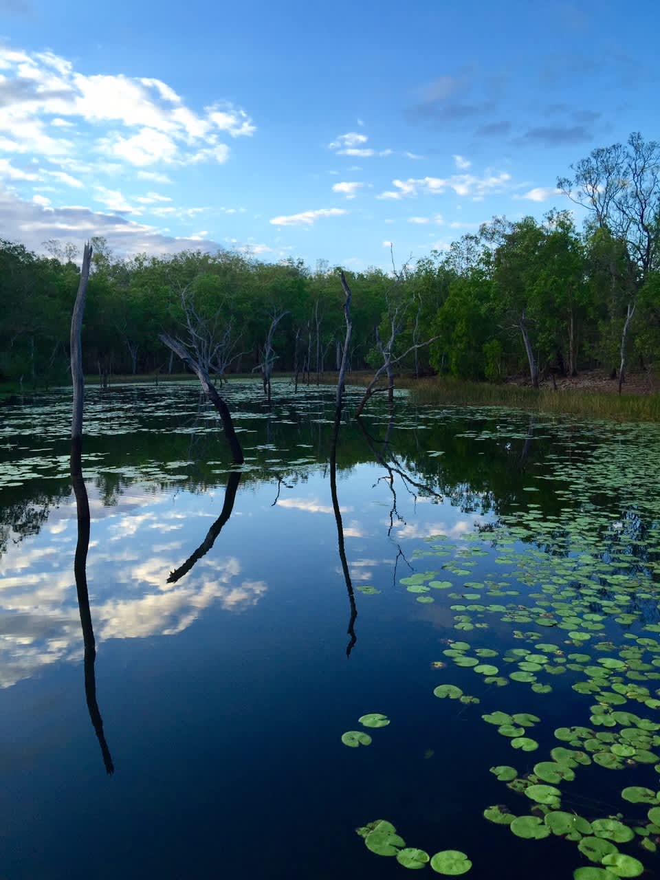 Cockatoo Ridge Lake Bennett - Hipcamp in Lake Bennett, Northern Territory