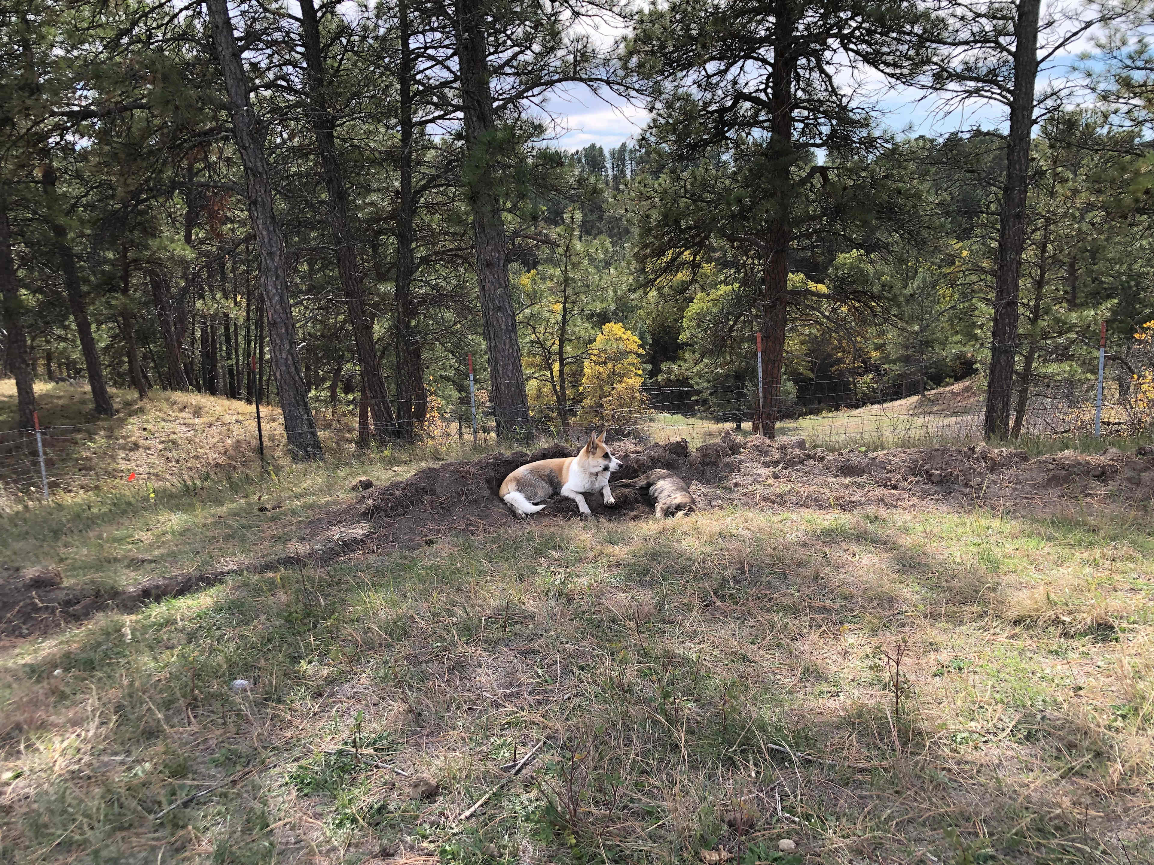 Woodland Ranch - Hipcamp in Allen, South Dakota