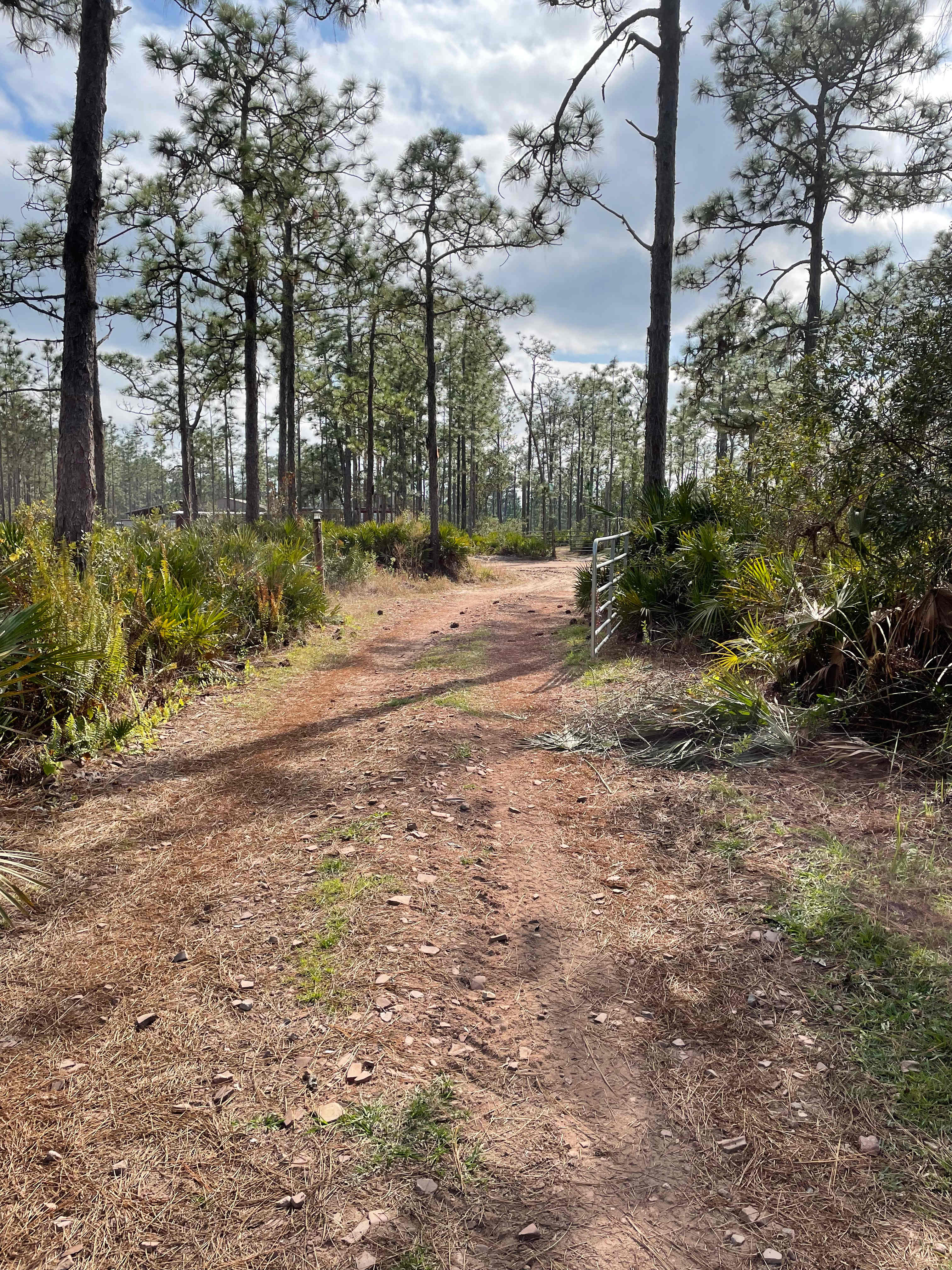 River Ranch Hunting Club Florida - Hipcamp in Frostproof, Florida