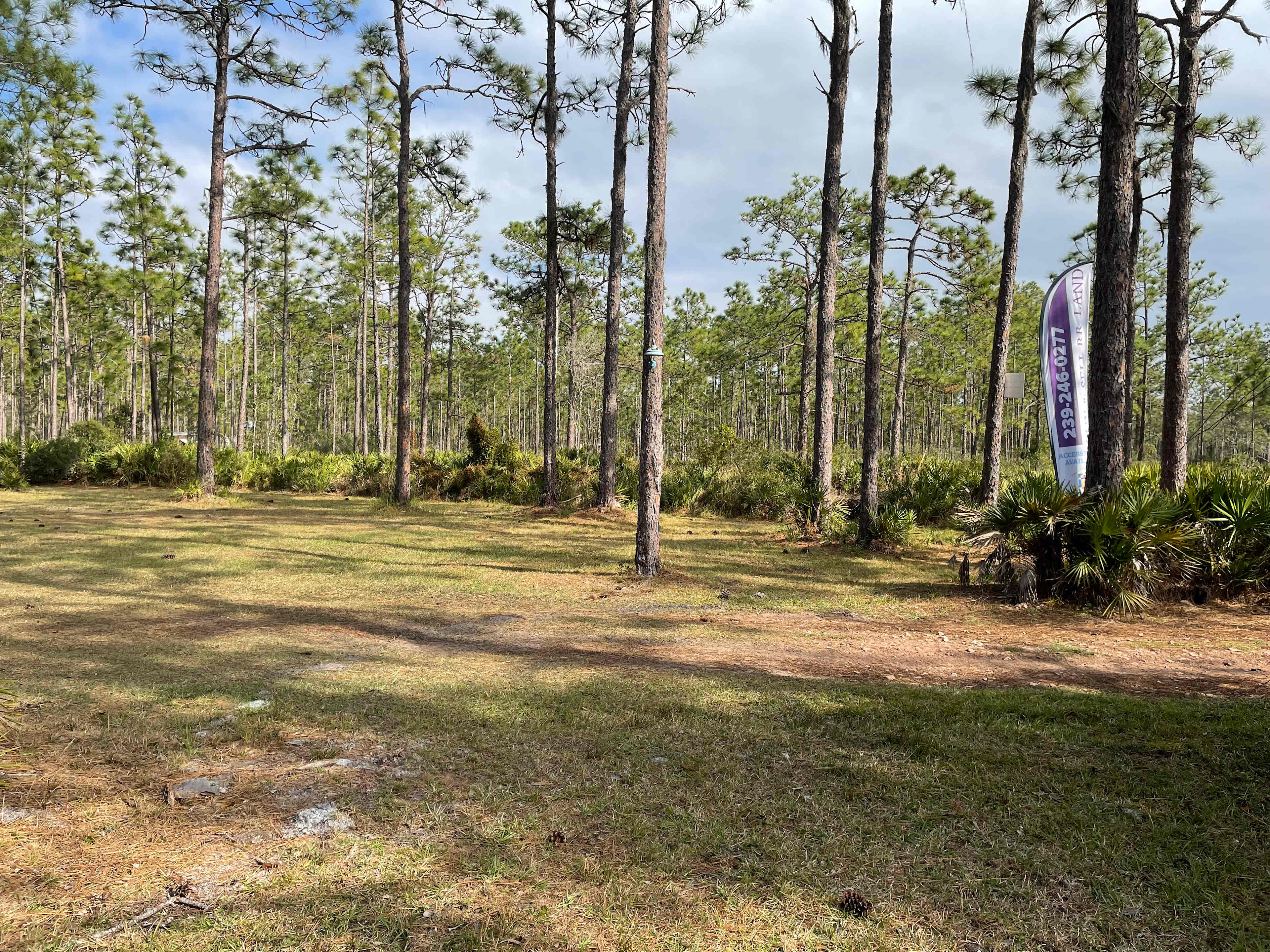 River Ranch Hunting Club Florida - Hipcamp in Frostproof, Florida