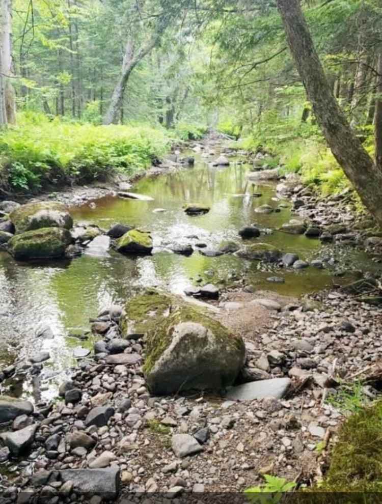 Siconio’s Trees of Green Campsite - Hipcamp in Anson, Maine