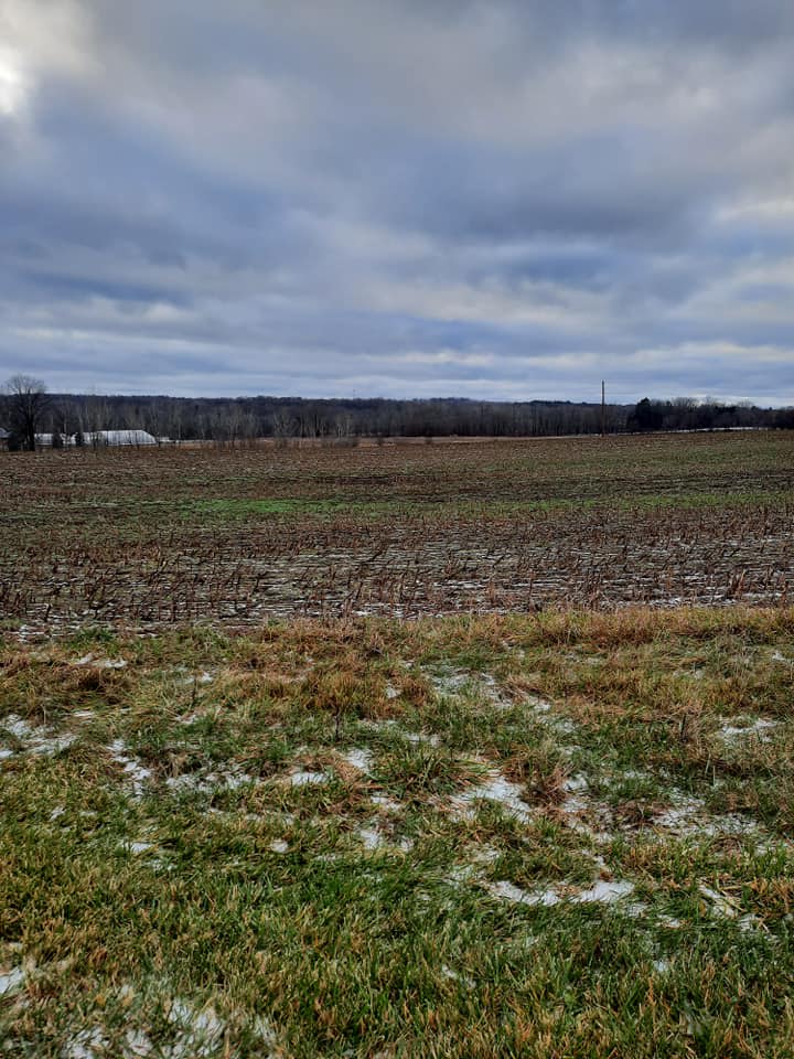 Seneca River Retreat - Hipcamp in Baldwinsville, New York