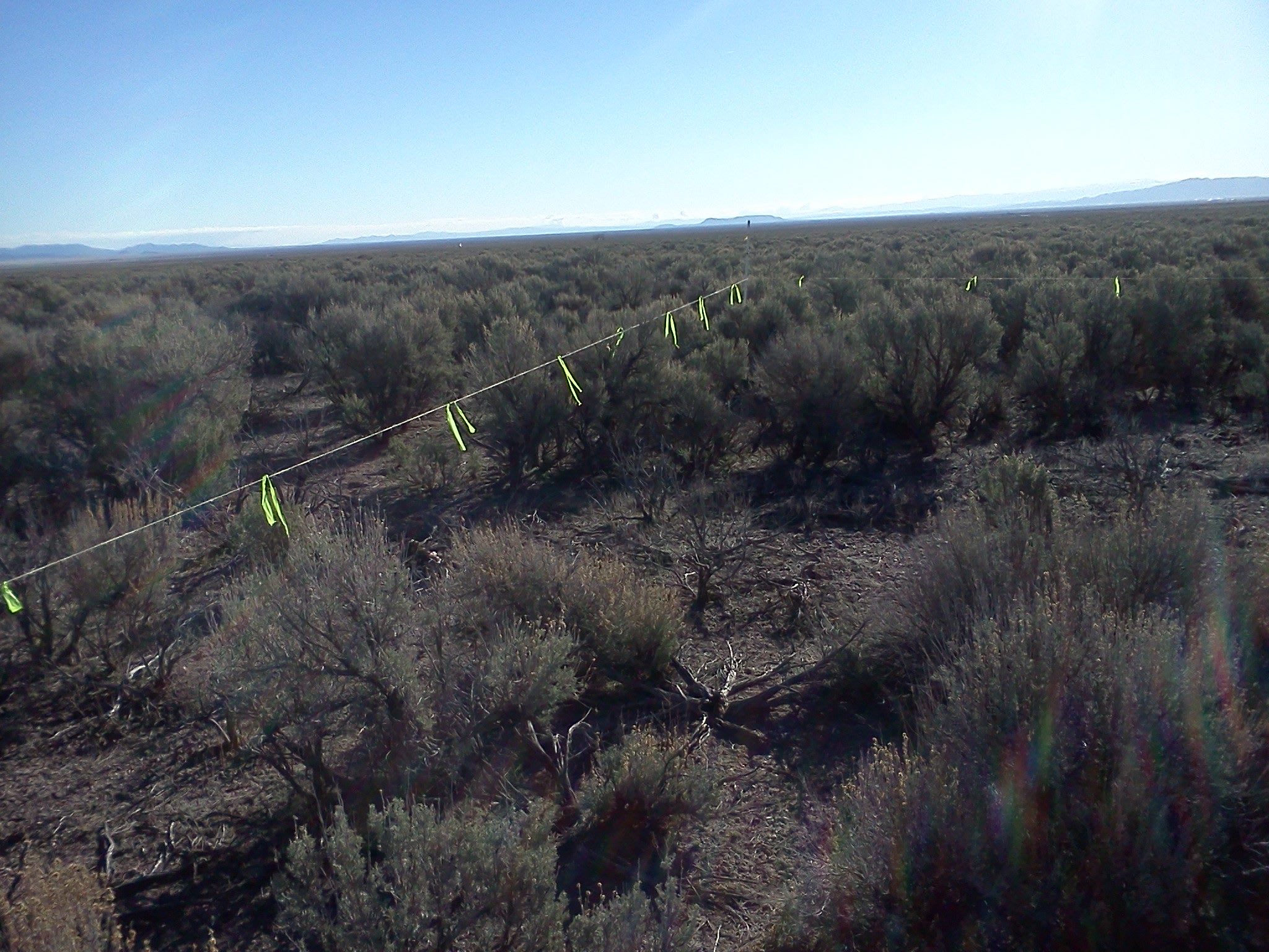 Desert Ghost Gardens Camp - Hipcamp in Beryl Junction, Utah