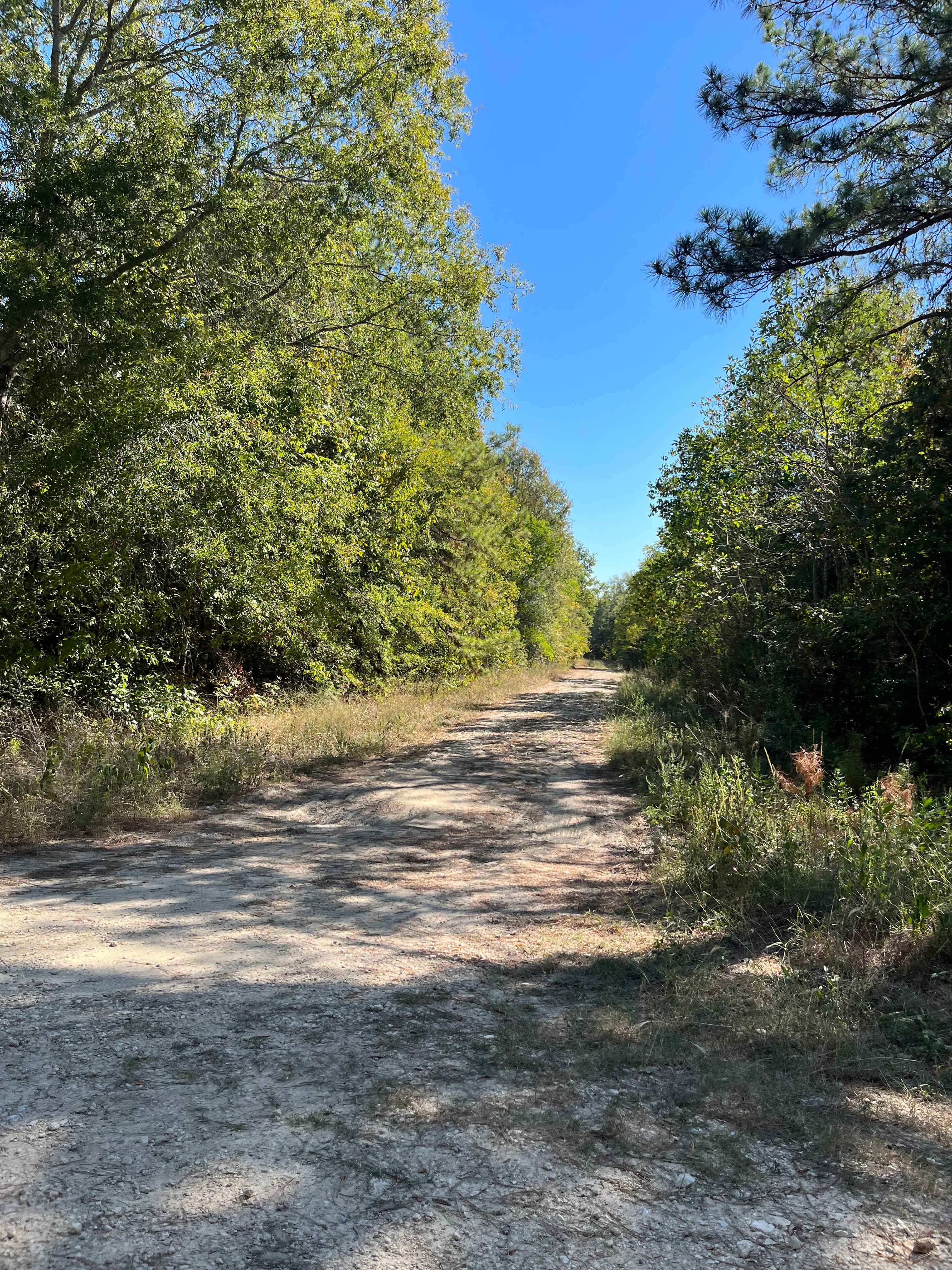 Southern Off Grid Estate - Hipcamp in West Livingston, Texas