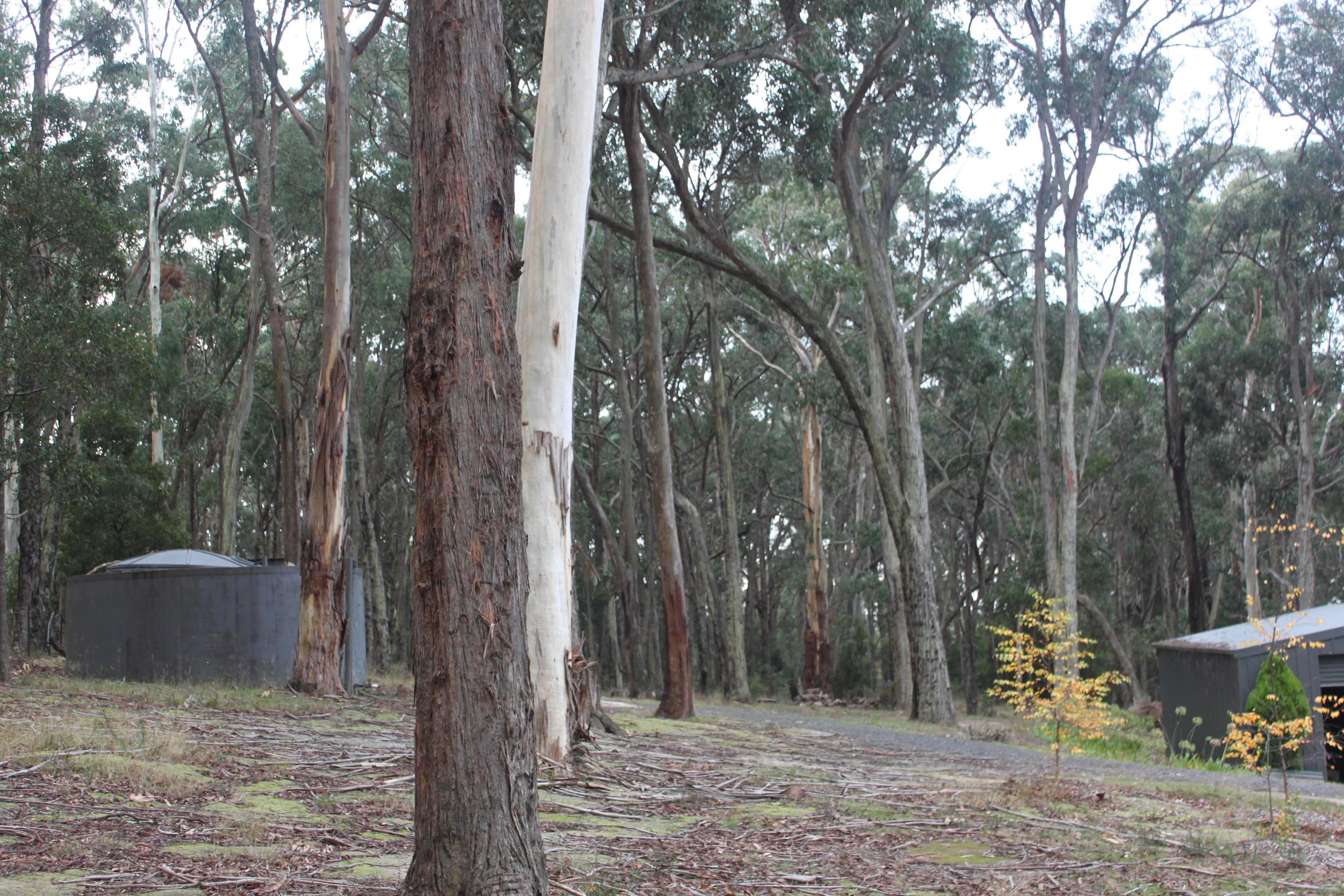 Kath and Kim's farm - Hipcamp in Sunbury, Victoria
