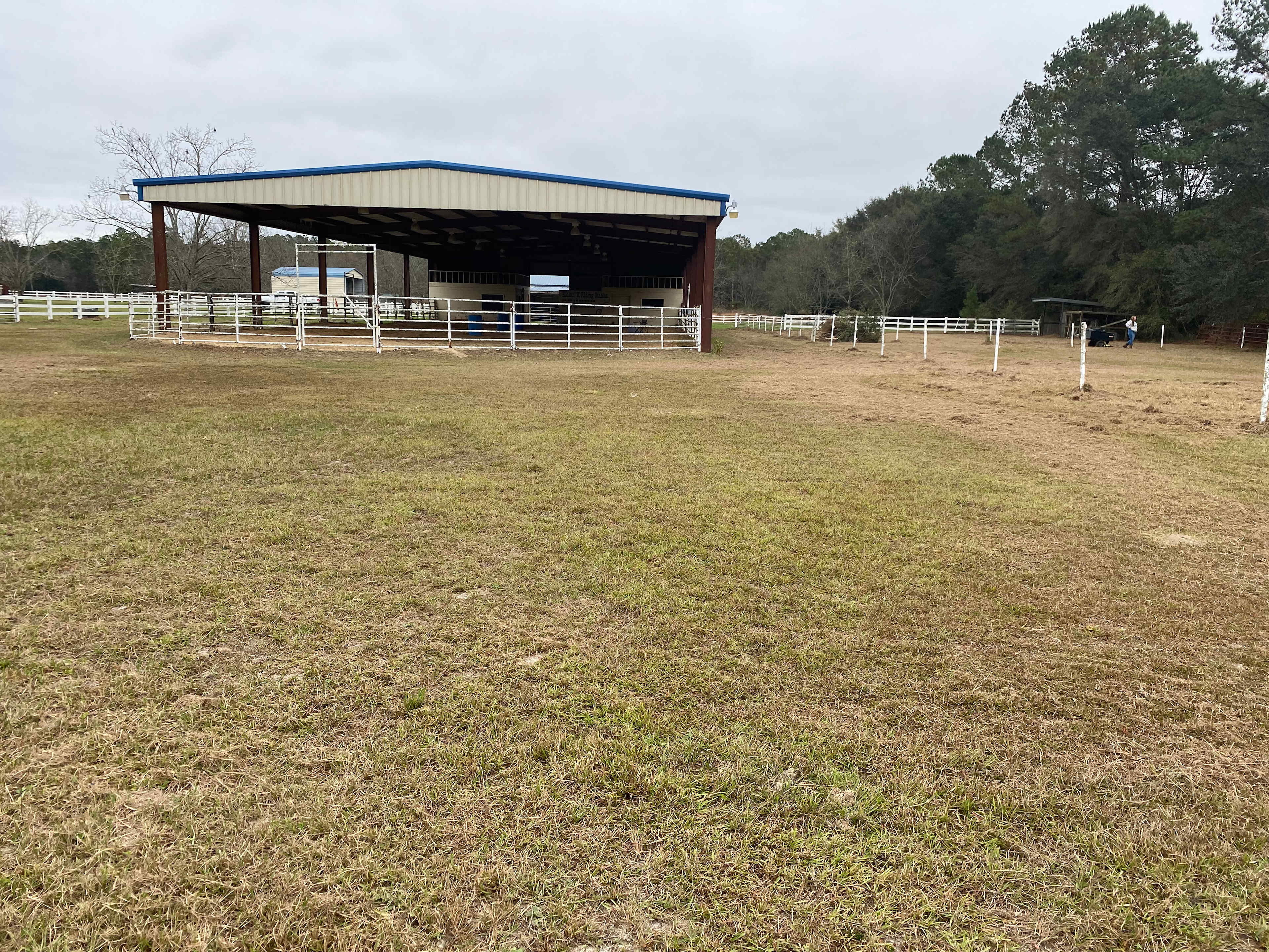 Bella Grace Equine Farm - Hipcamp in Waycross, Georgia