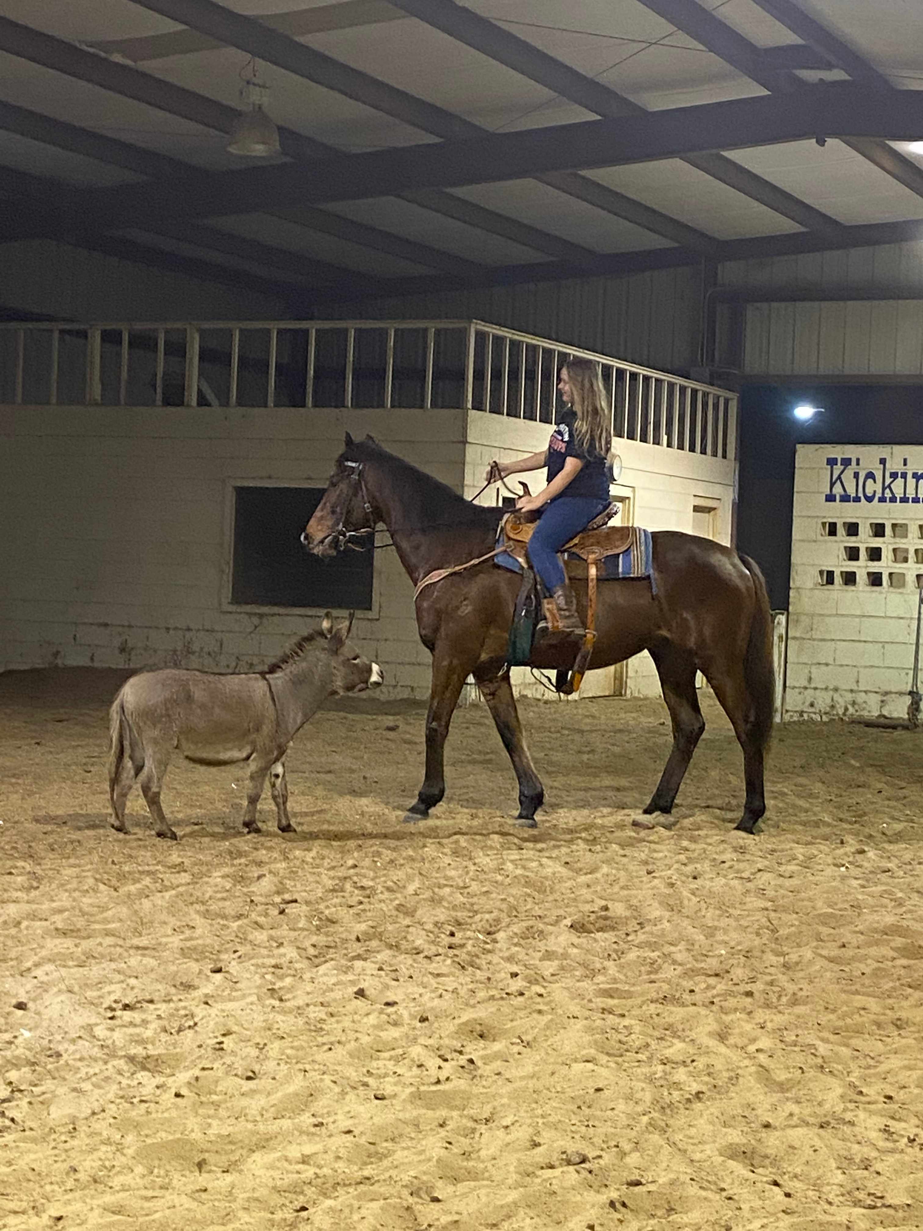 Bella Grace Equine Farm - Hipcamp in Waycross, Georgia