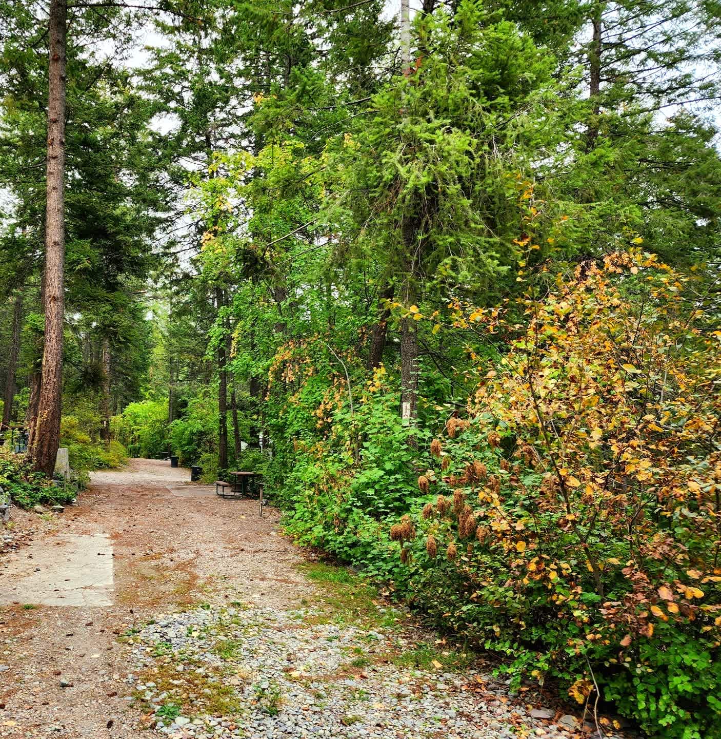 Outback Montana RV Park & Campground - Hipcamp in Bigfork, Montana