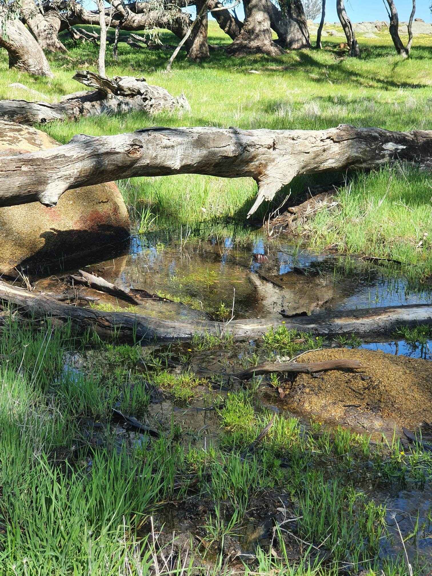 Peaceful Valley Farm - Hipcamp in Jelcobine, Western Australia