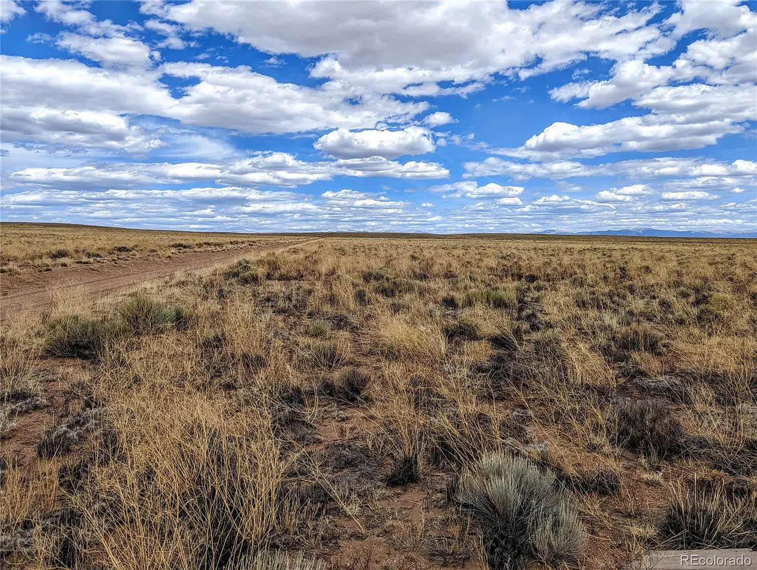 Lynn Court Camp- San Luis CO - Hipcamp in San Luis, Colorado