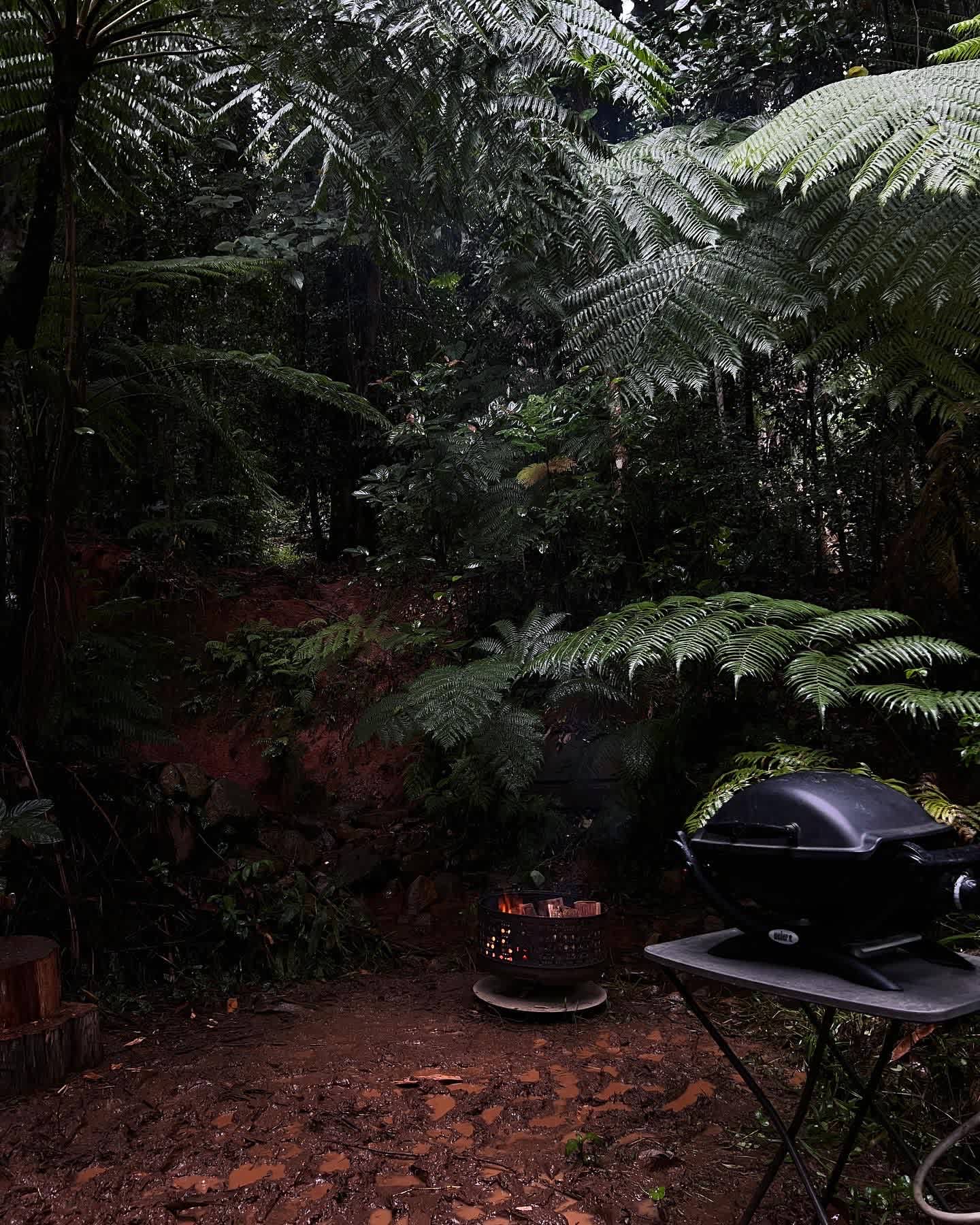 Tully Mountain ⛰️ Views - Hipcamp in Djarawong, Queensland